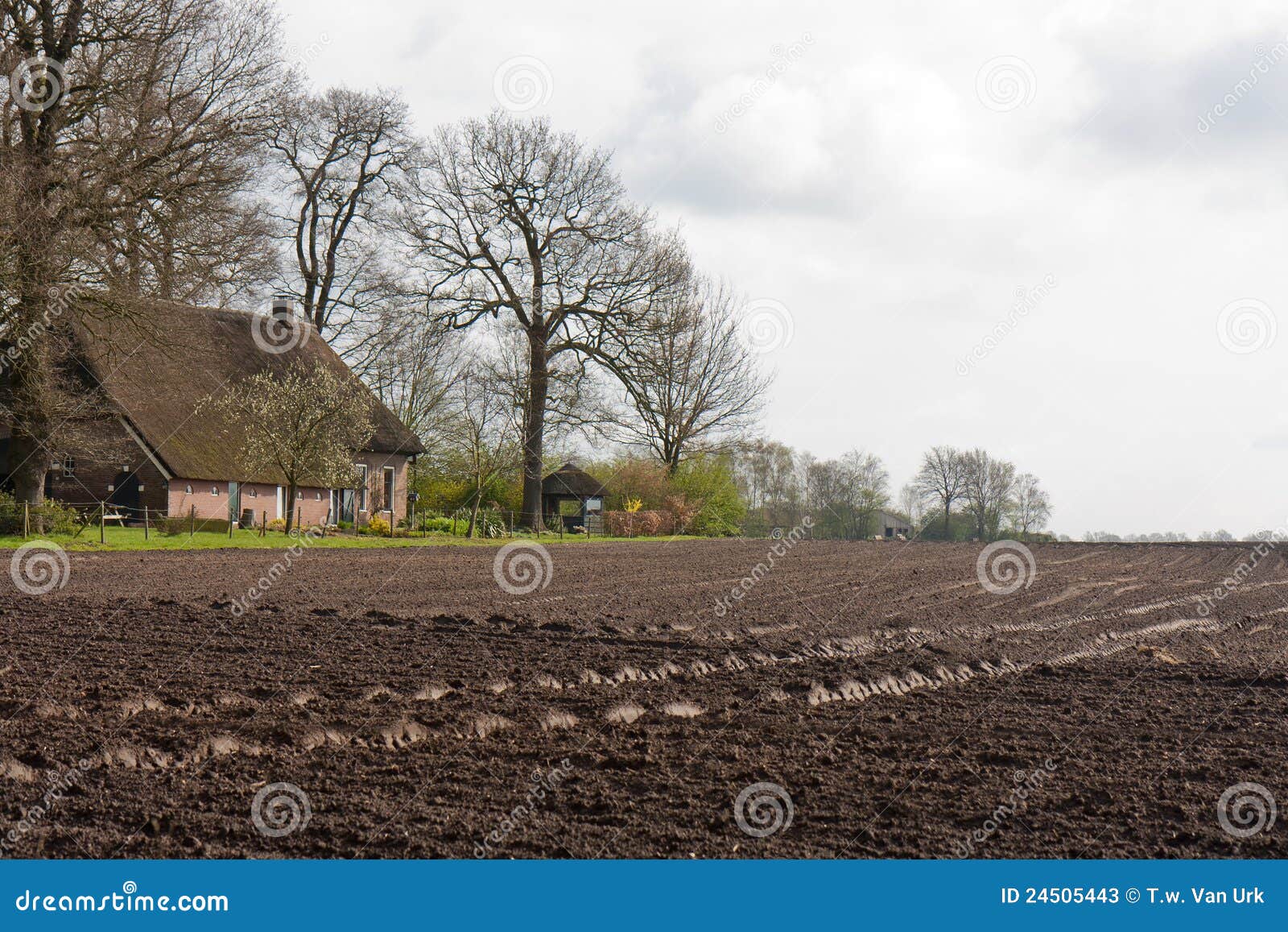 Farmland with Farmhouse in the Netherlands Stock Image - Image of ...