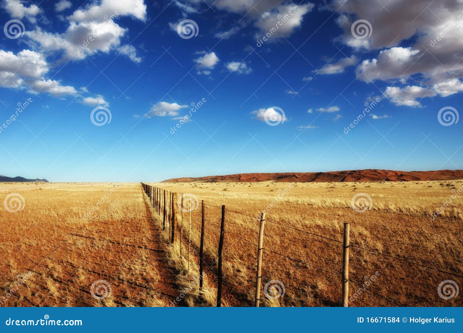Farmland Fence (Namibia) stock photo. Image of land, fence - 16671584