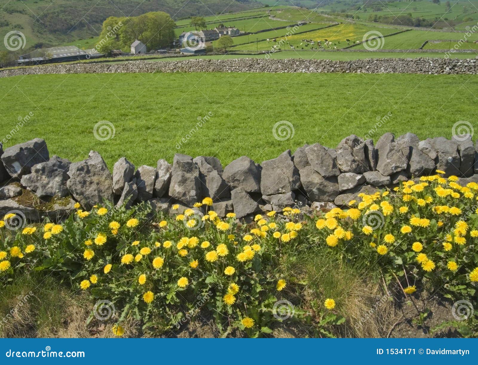 Farmland Field Dry Stone Wall Stock Image - Image of agriculture ...