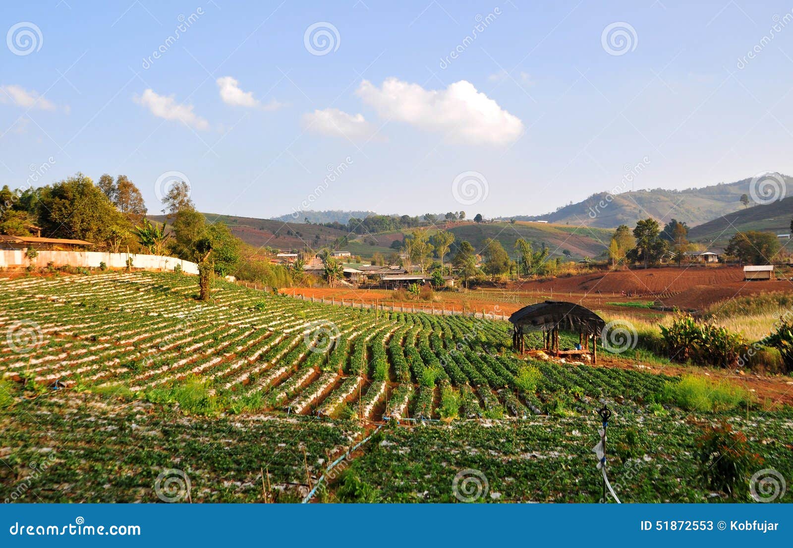Farmland Field on Hill in Countryside Stock Image - Image of ...