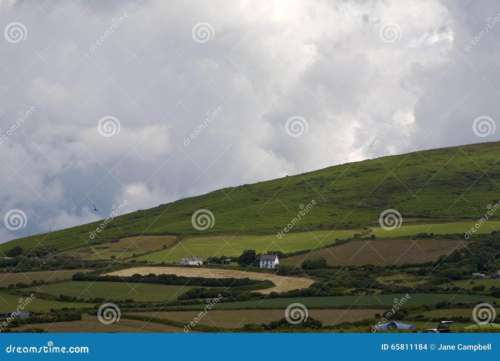 Farmland on the Gower Peninsular. Stock Photo - Image of hillside ...