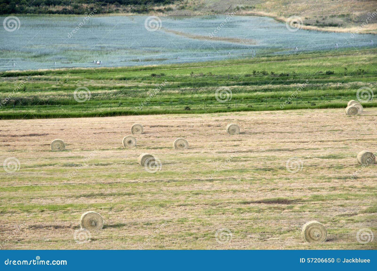 Farmland Haystack america stock photo. Image of cultivated - 57206650