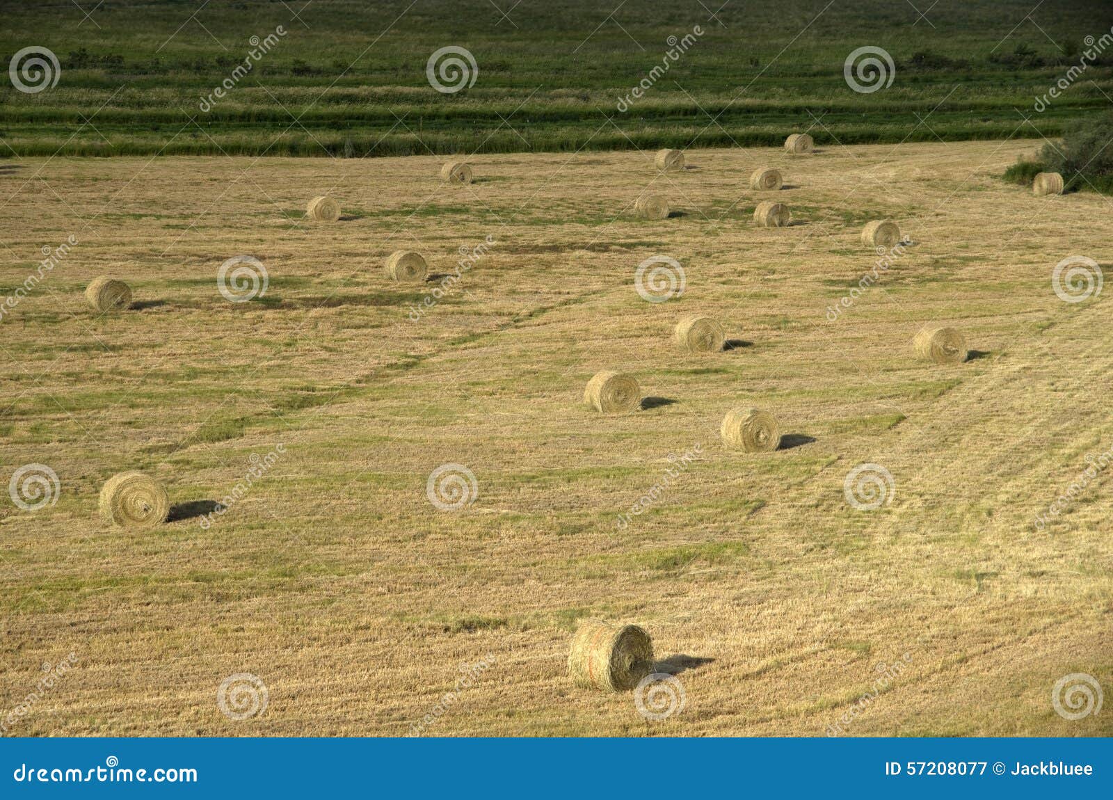 Farmland Haystack america stock image. Image of washington - 57208077