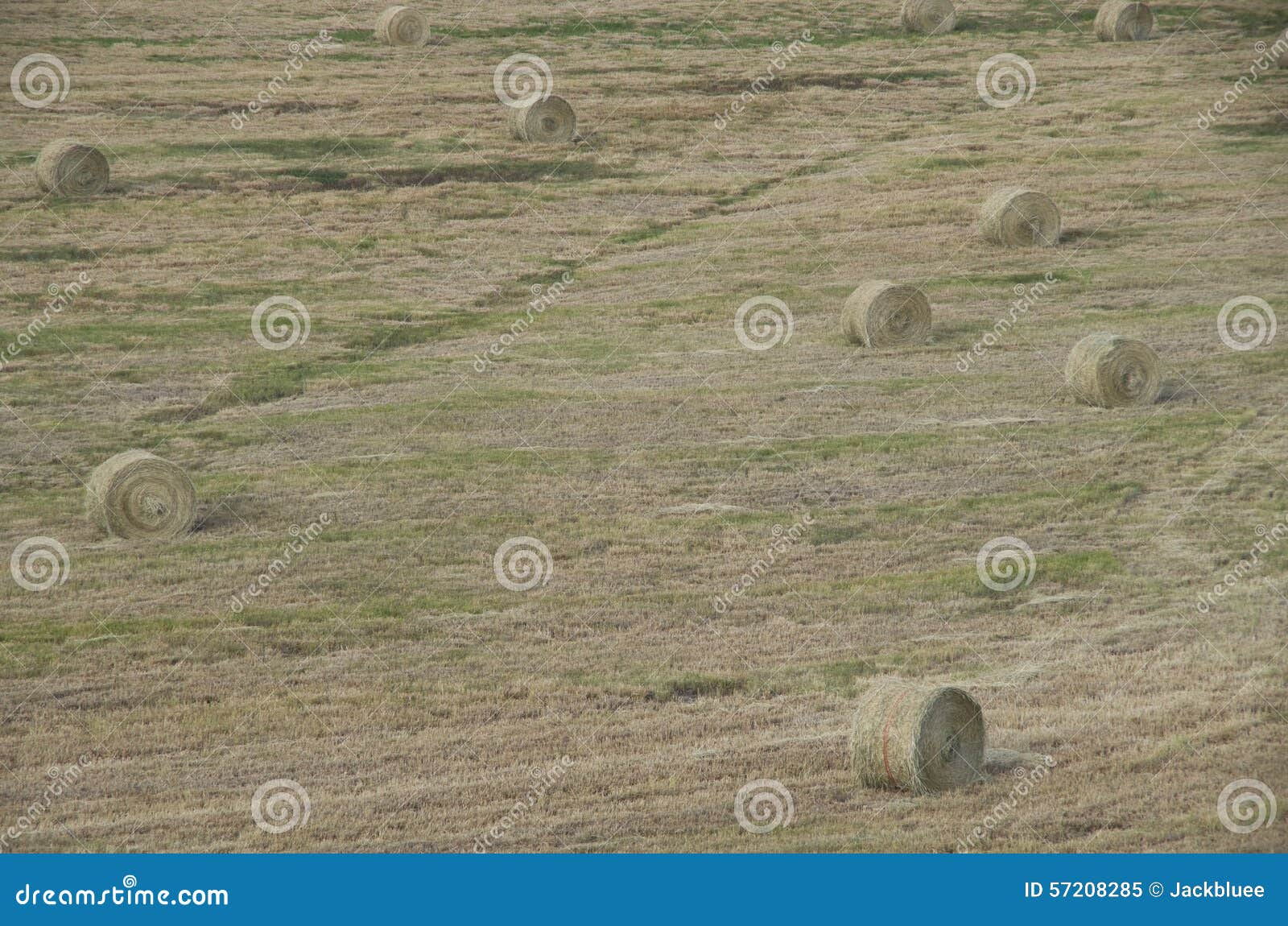 Farmland Haystack america stock image. Image of cultivated - 57208285