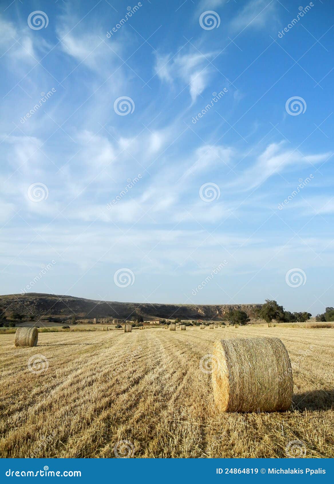 Farmland landscape stock image. Image of fluffy, bale - 24864819