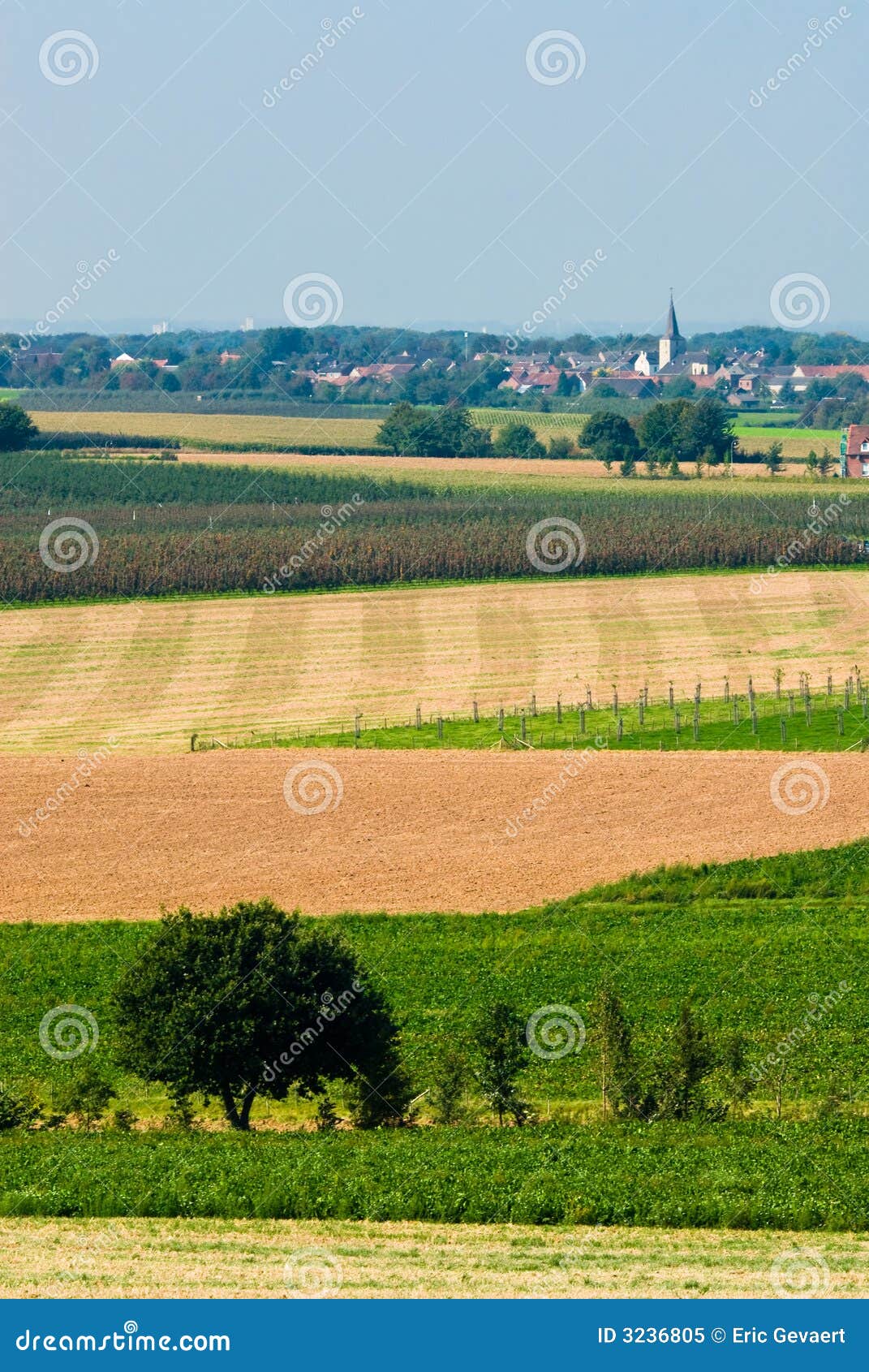 Farmland landscape stock image. Image of branches, house - 3236805