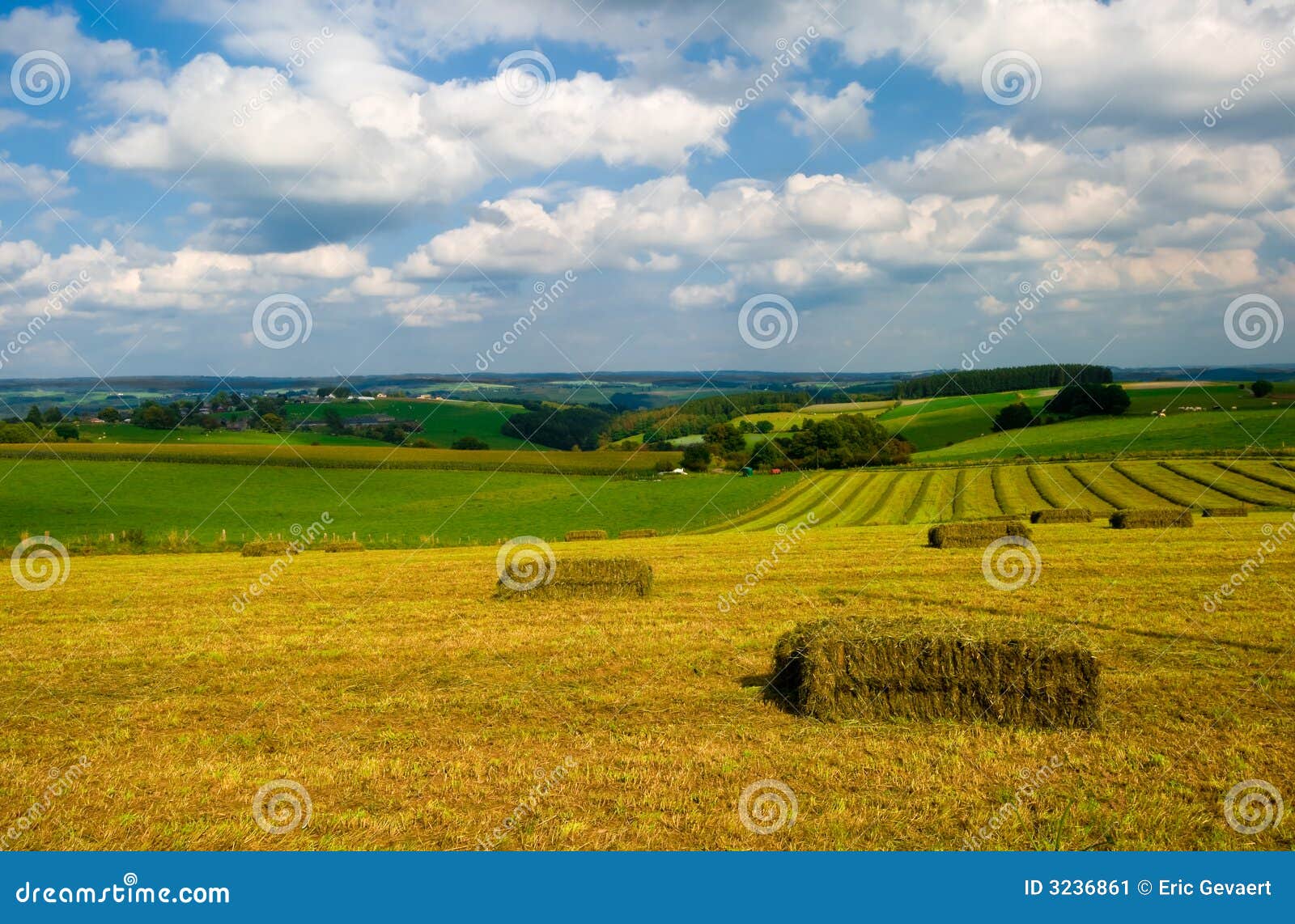 Farmland landscape stock image. Image of grass, plants - 3236861