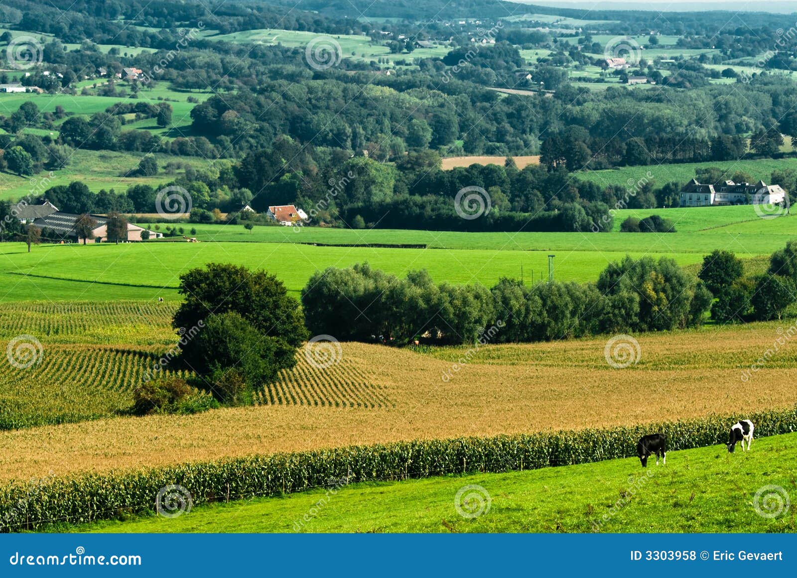 Farmland landscape stock photo. Image of inspirational - 3303958