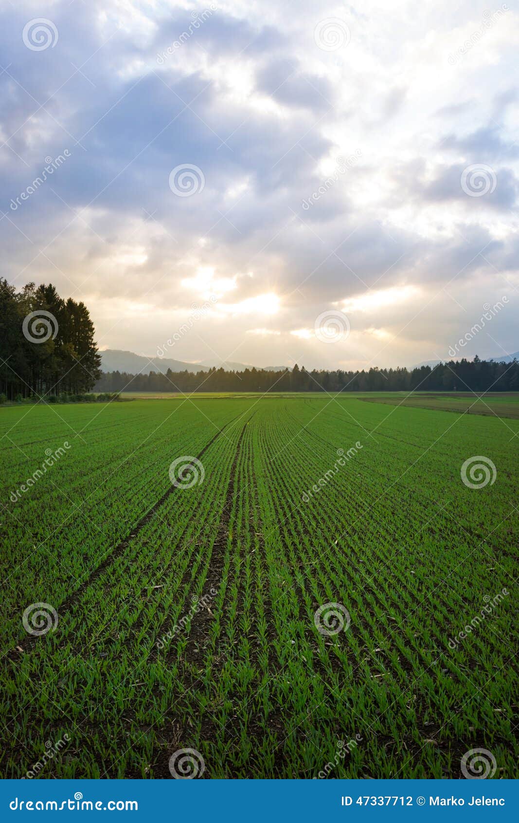 Farmland Landscape stock photo. Image of generic, landscape - 47337712