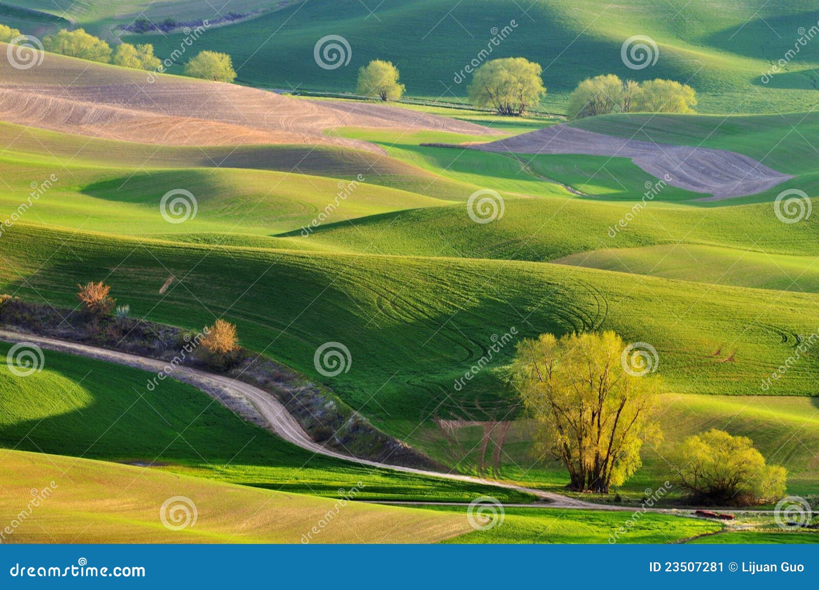 Farmland in Palouse Washington Stock Image - Image of house, green ...