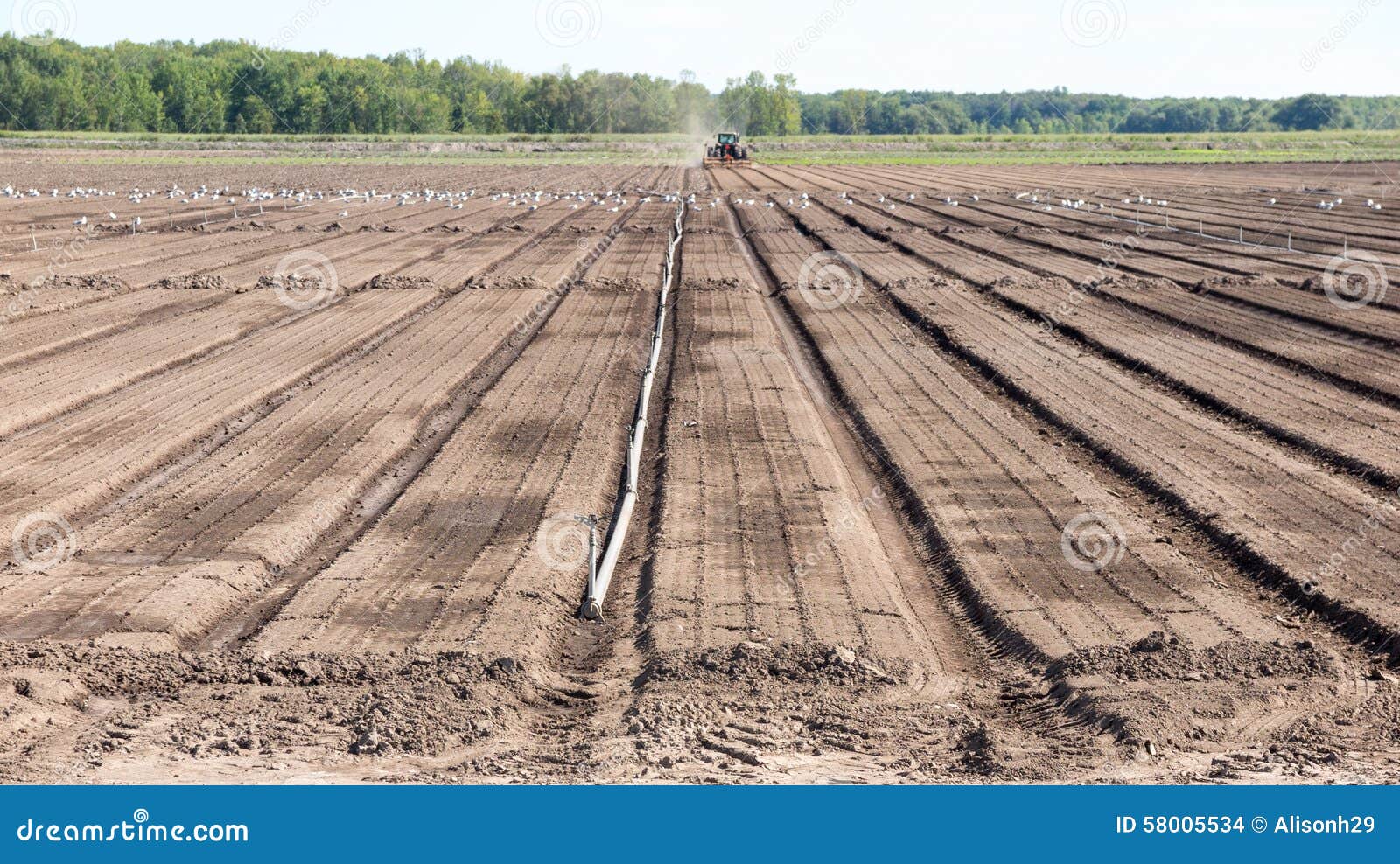 Farmland stock photo. Image of farm, grow, farming, outdoor - 58005534