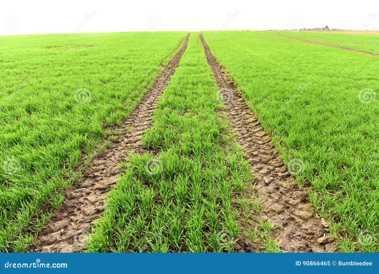 Farmland, Plowed Field at Spring, Landscape, Agricultural, Fields Stock ...