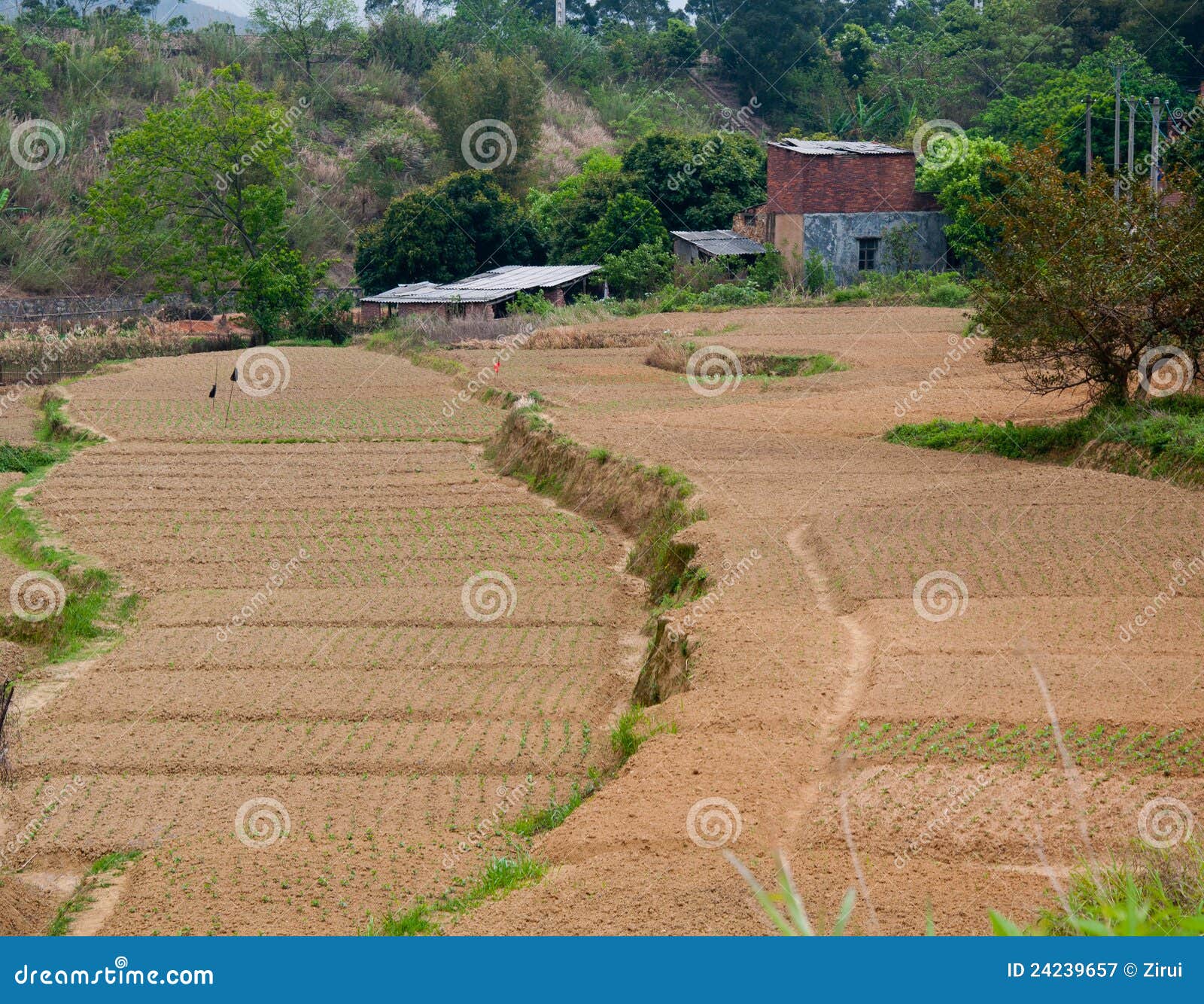 Farmland, rural stock image. Image of china, guangdong - 24239657