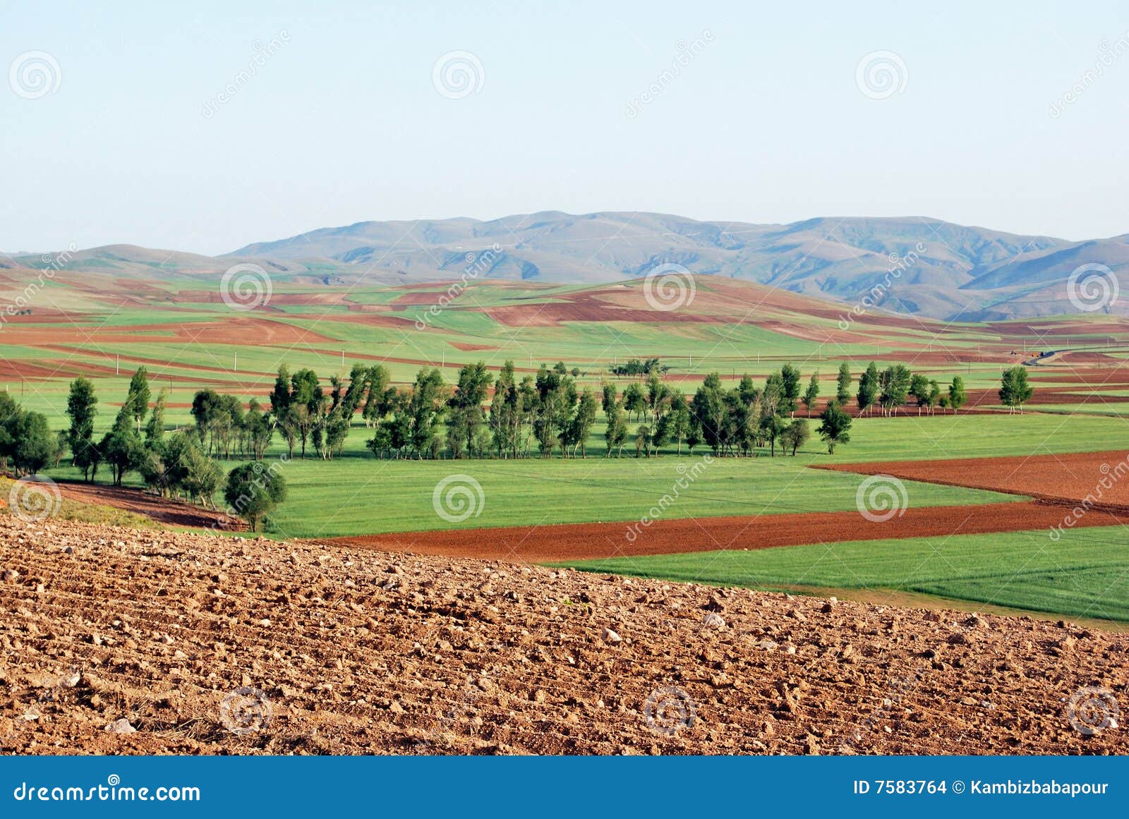 Farmland in spring stock photo. Image of landscape, agriculture - 7583764