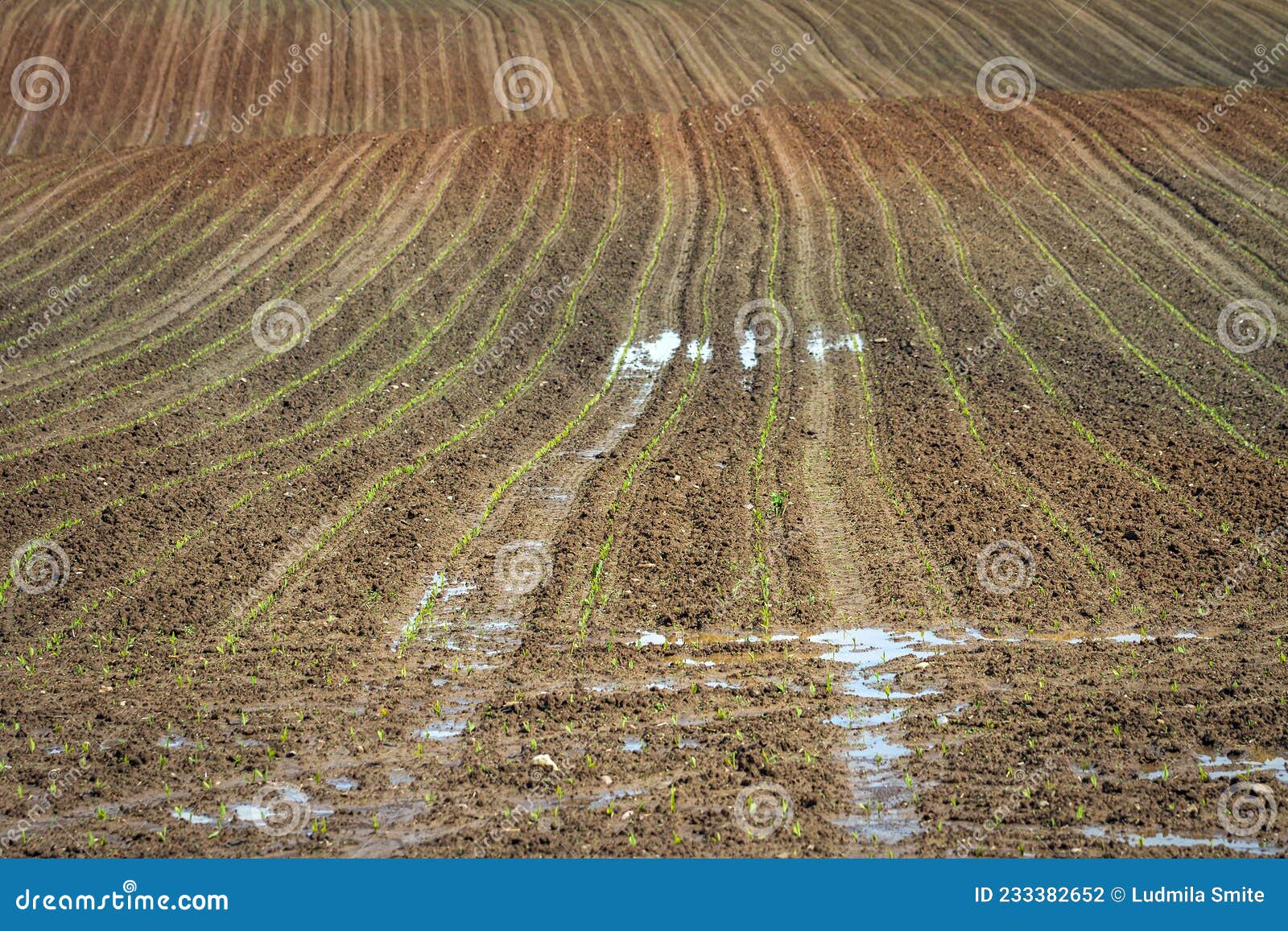 Farmland after spring rain stock photo. Image of dirt - 233382652