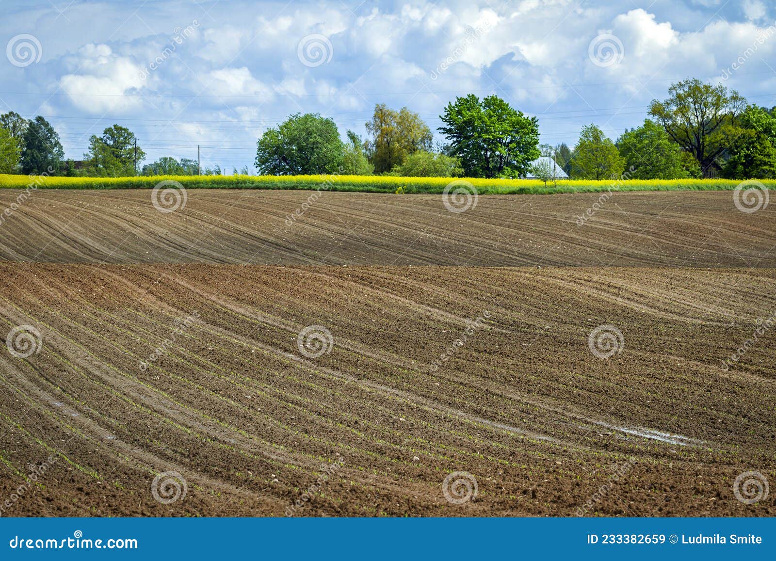 Farmland after spring rain stock image. Image of hill - 233382659