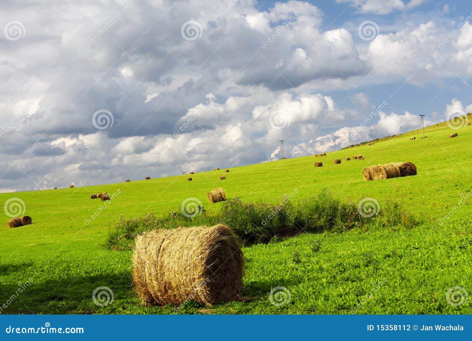 Farmland with straw bales stock photo. Image of barley - 15358112