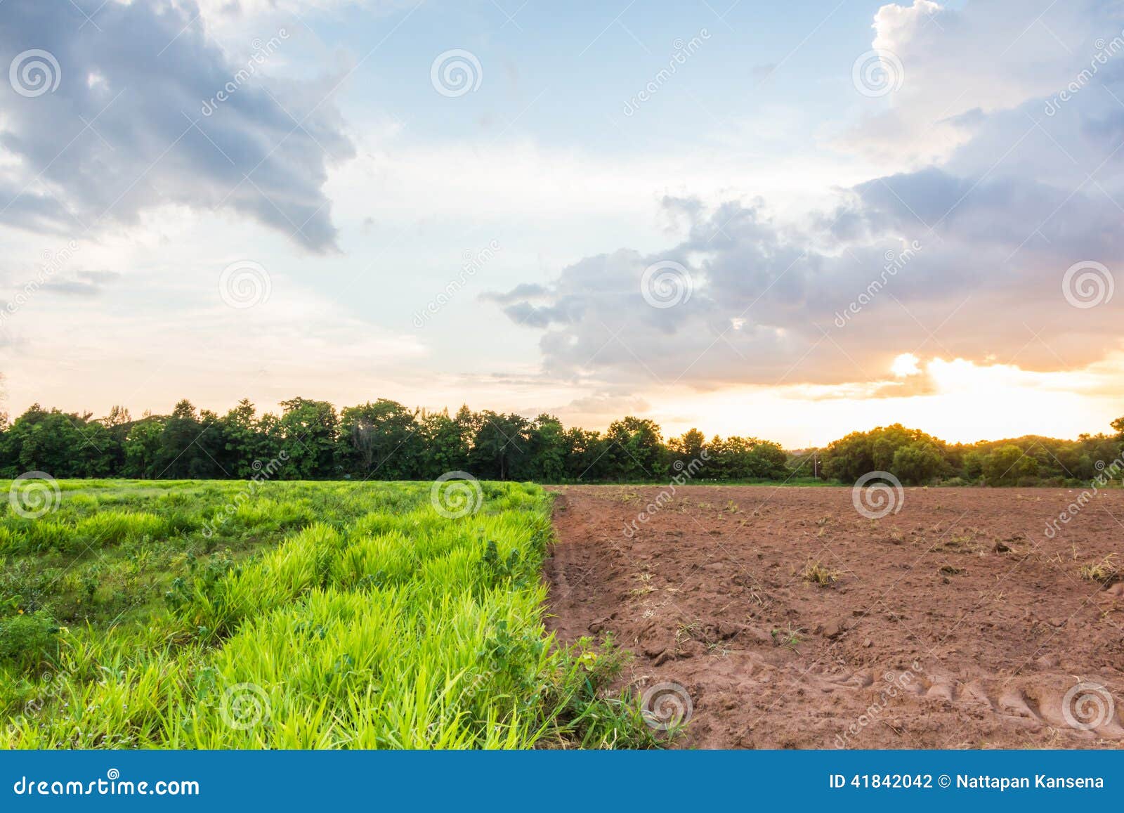 Farmland sunset stock photo. Image of earth, tracks, light - 41842042