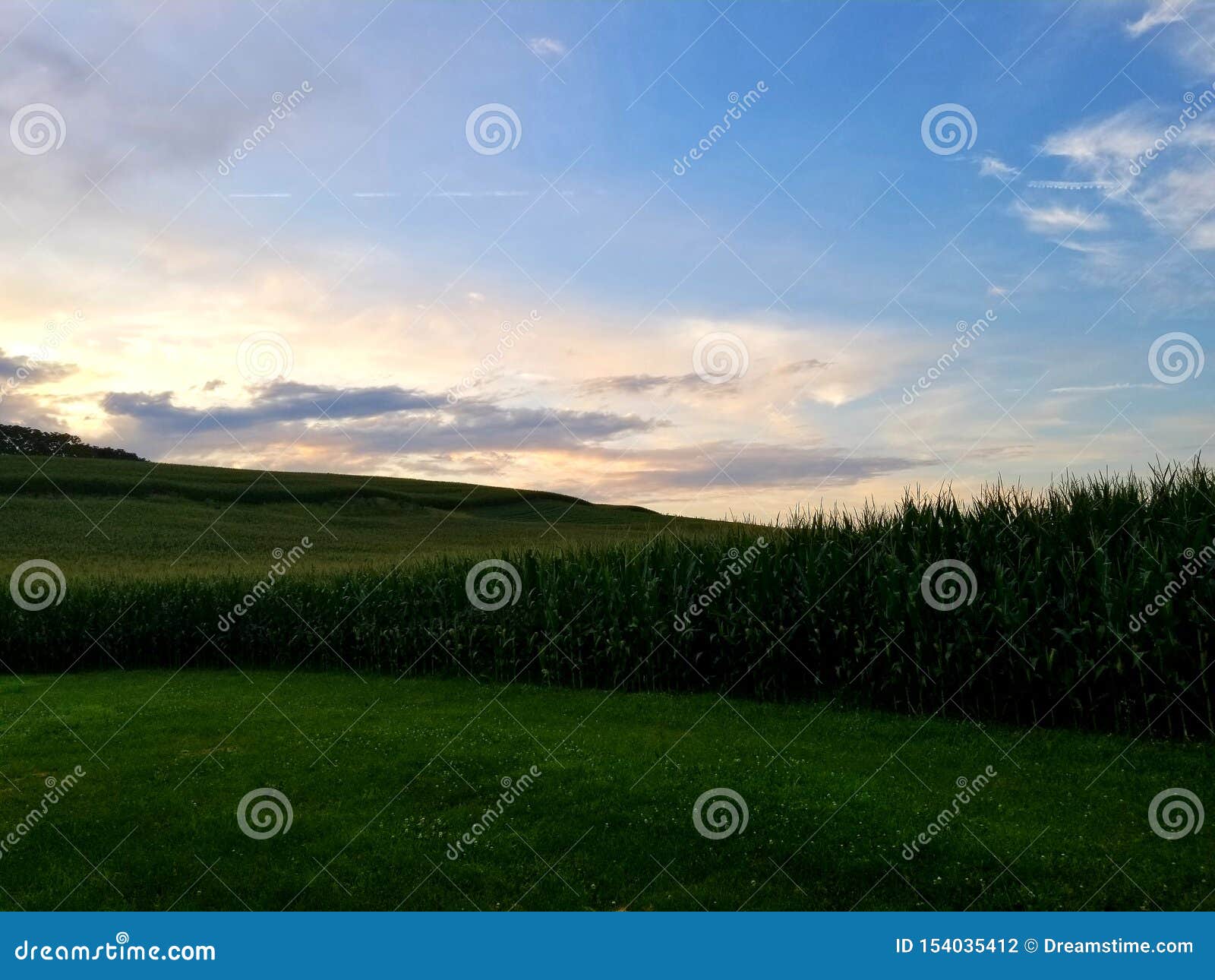Farmland stock photo. Image of greenery, nature, sunset - 154035412