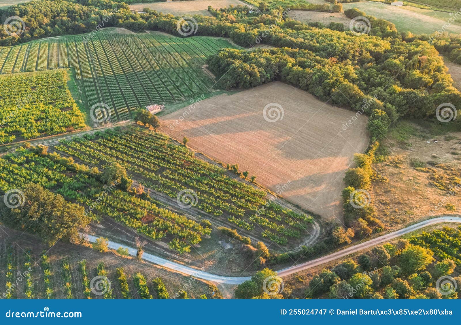 Farmland during Sunset. Tree Shadows Cast Over the Fields Stock Image ...