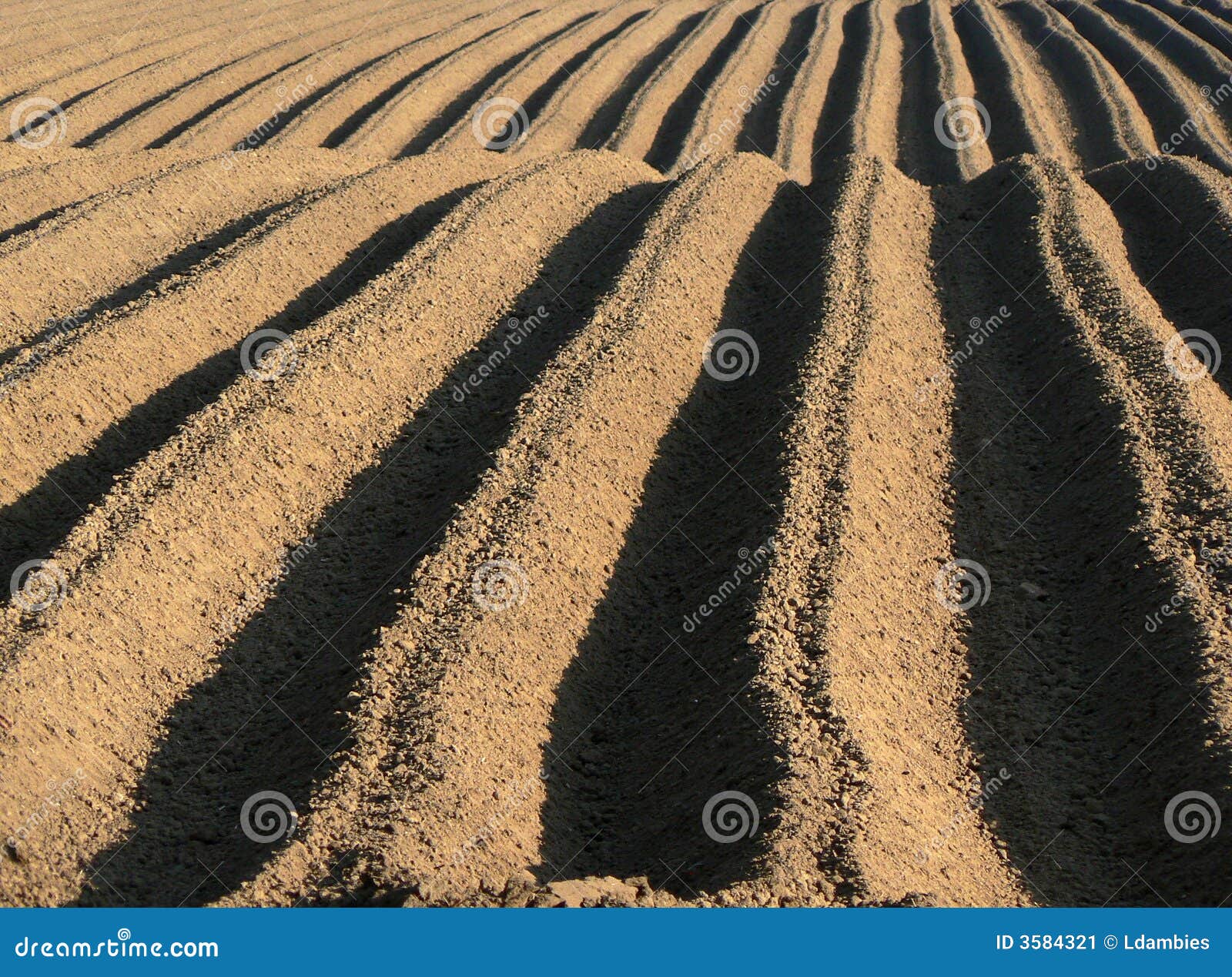Farmland tracks stock image. Image of farm, pattern, agriculture - 3584321