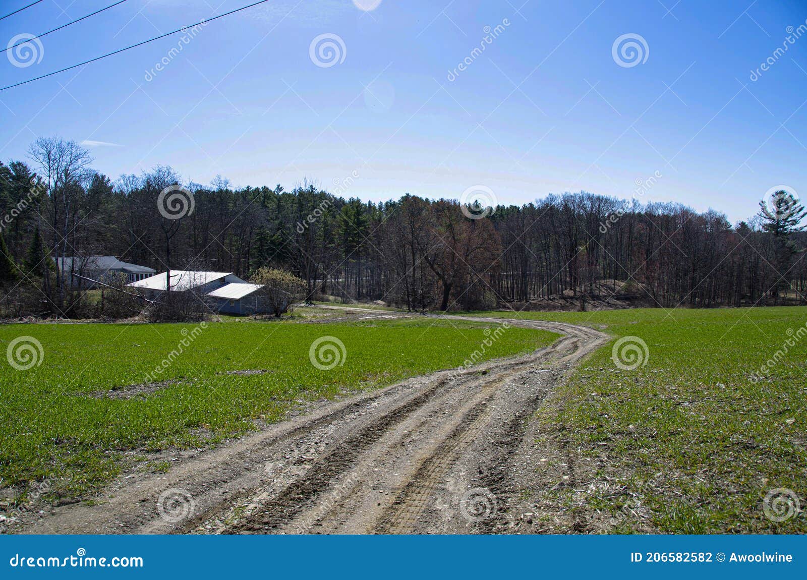 Farmland with Tree Line with Blue Sky and Farmhouse Stock Photo - Image ...