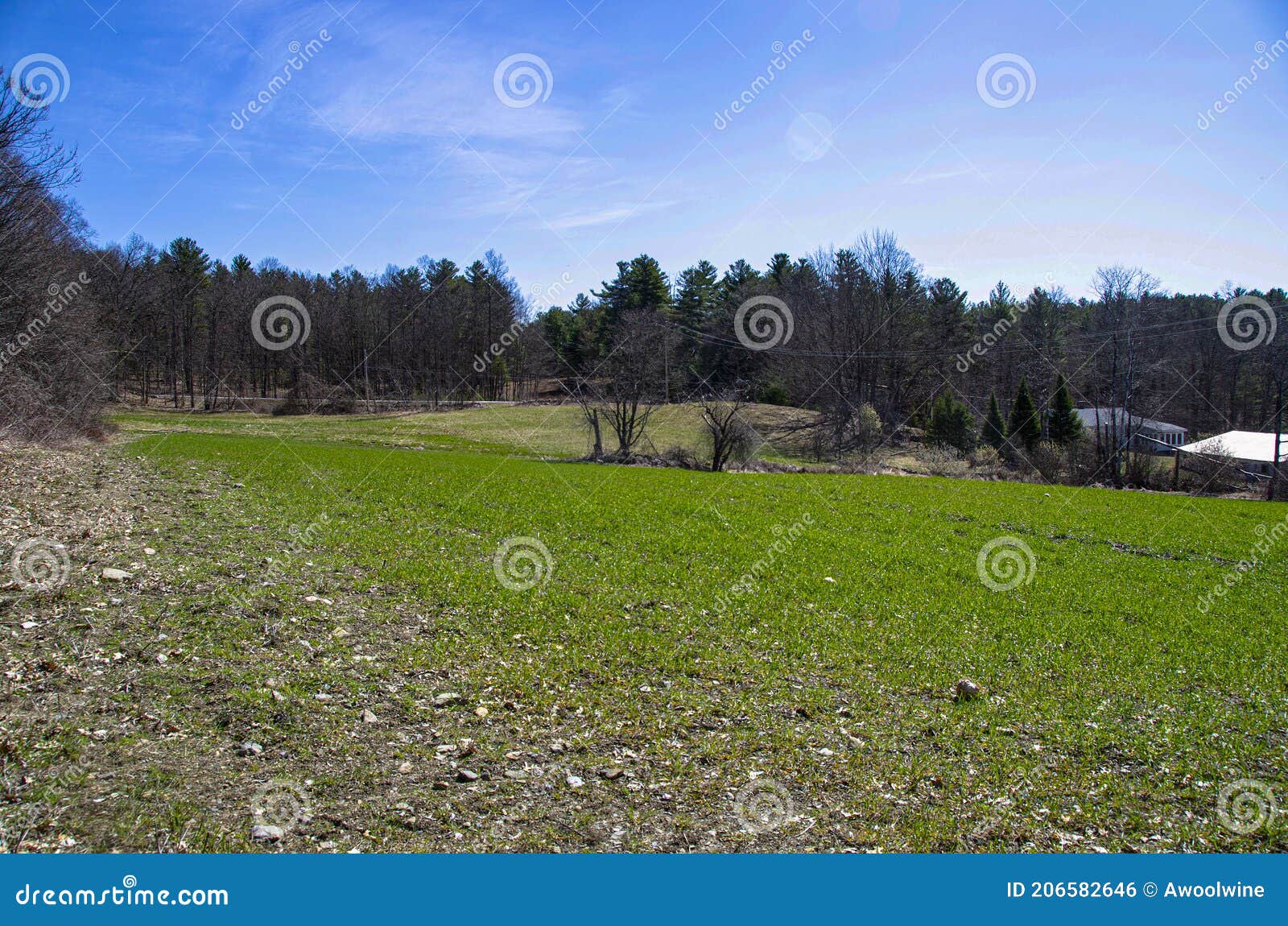 Farmland with Tree Line with Blue Sky and Panorama Stock Photo - Image ...