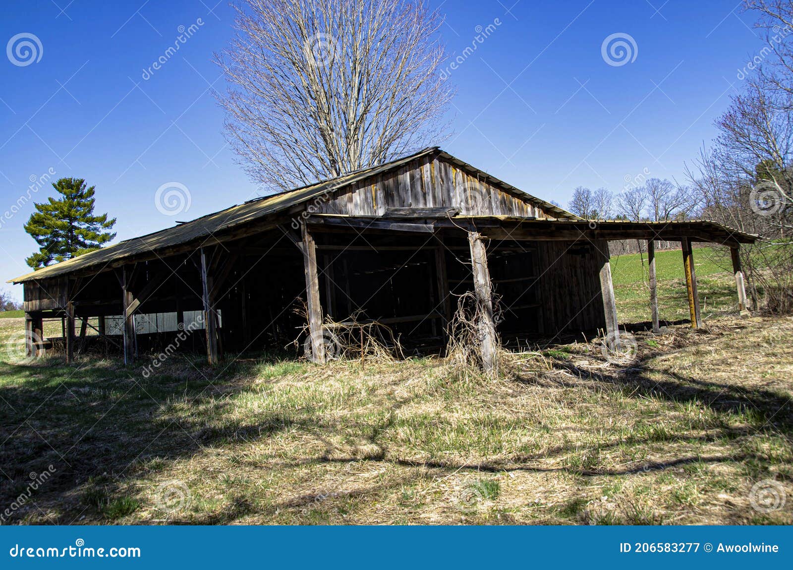 Farmland with Tree Line with Blue Sky and Shed Stock Image - Image of ...
