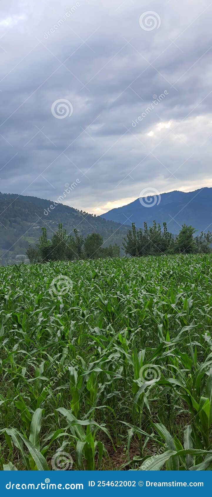 Farms clouds mountains stock photo. Image of terrain - 254622002