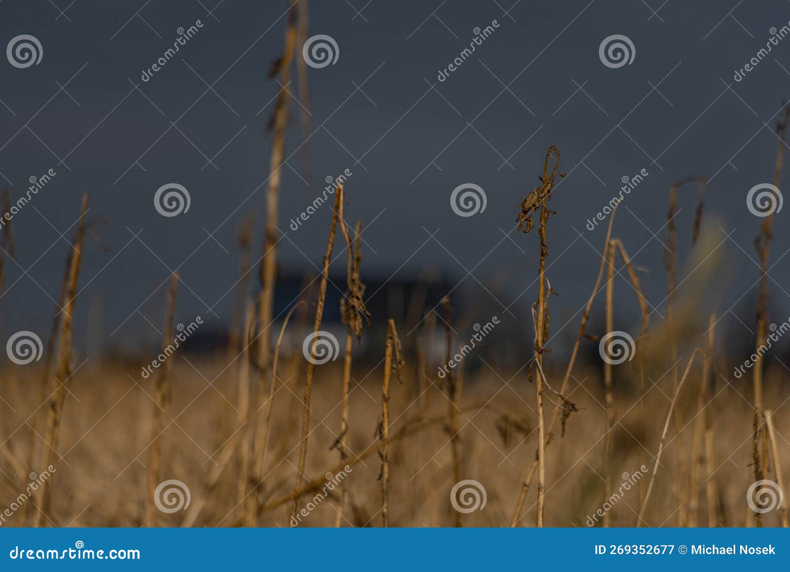 Farms and Fields Near Bad Hall Town in Winter without Snow Stock Image ...