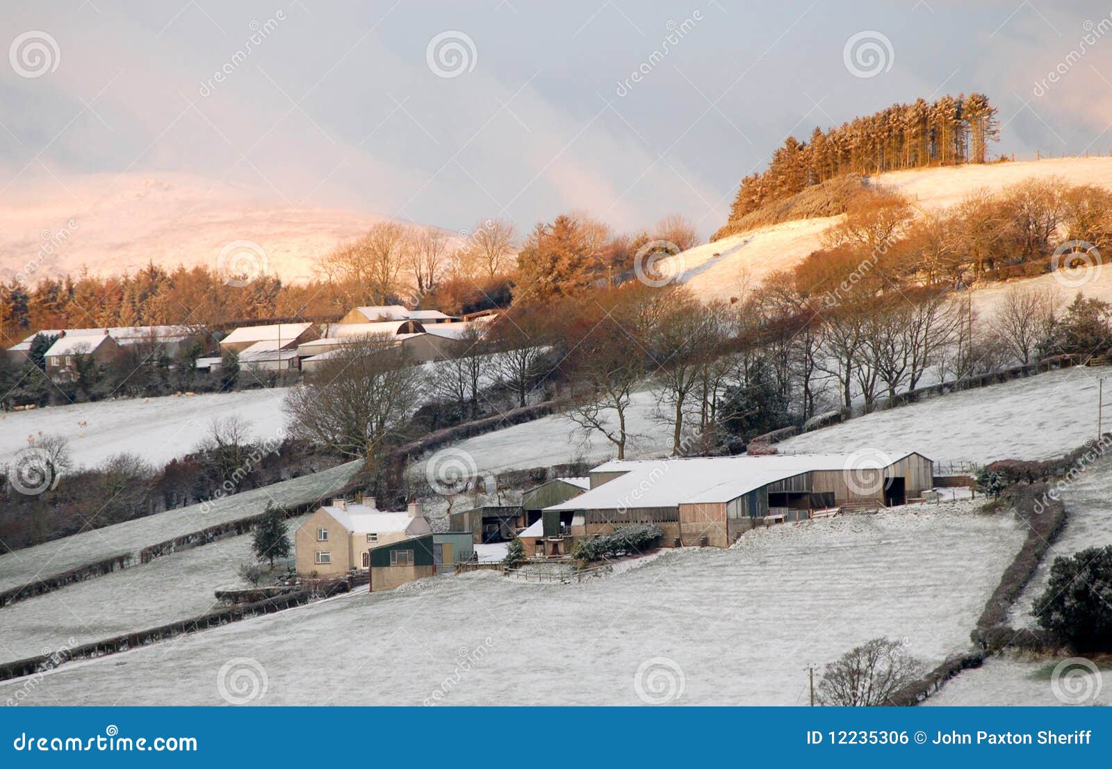 Farms in snow stock photo. Image of fields, peaceful - 12235306