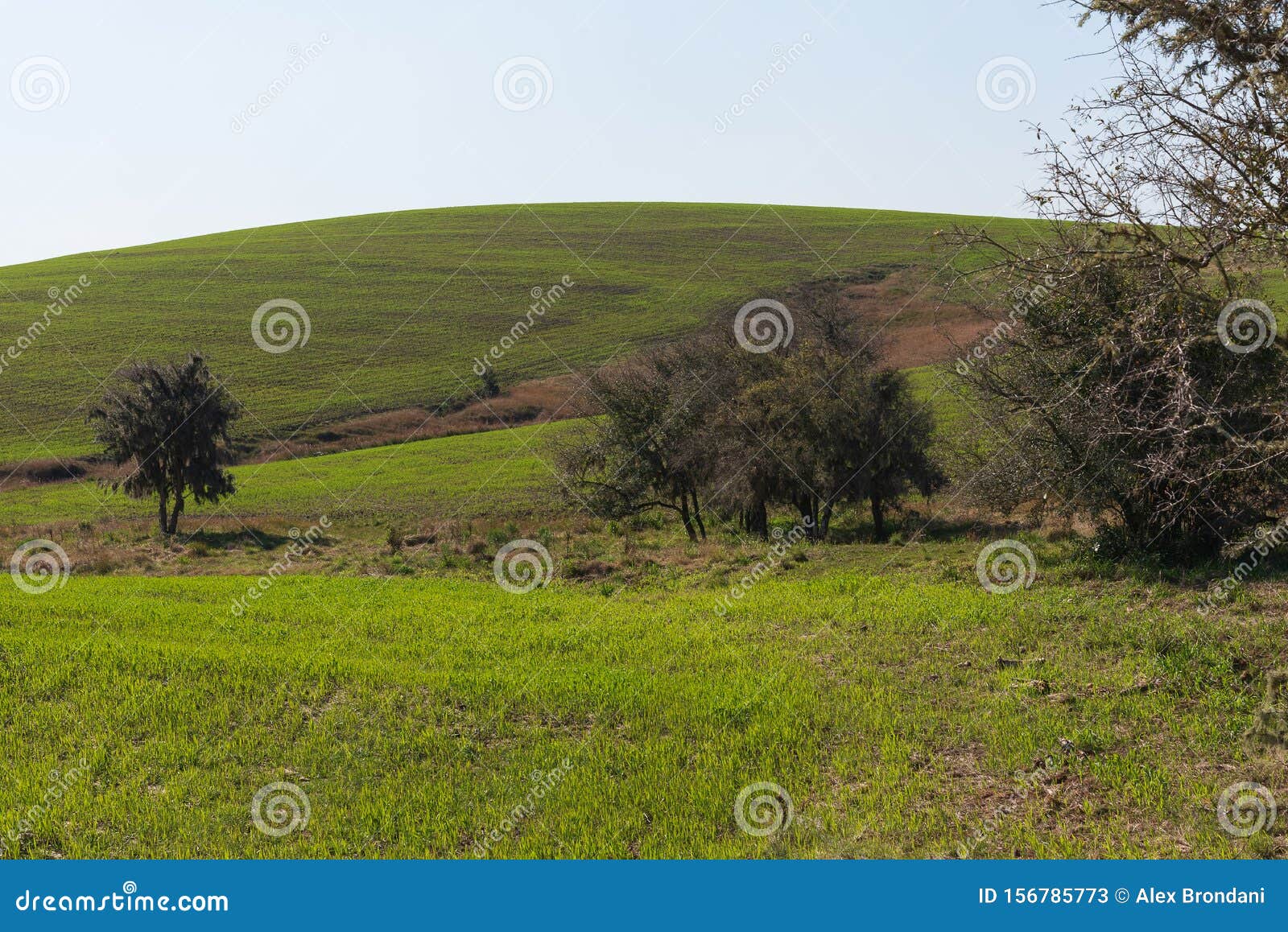 Farms in Southern South America 05 Stock Image - Image of green ...