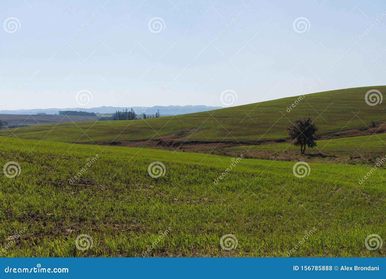 Farms in Southern South America 06 Stock Photo - Image of mowing ...