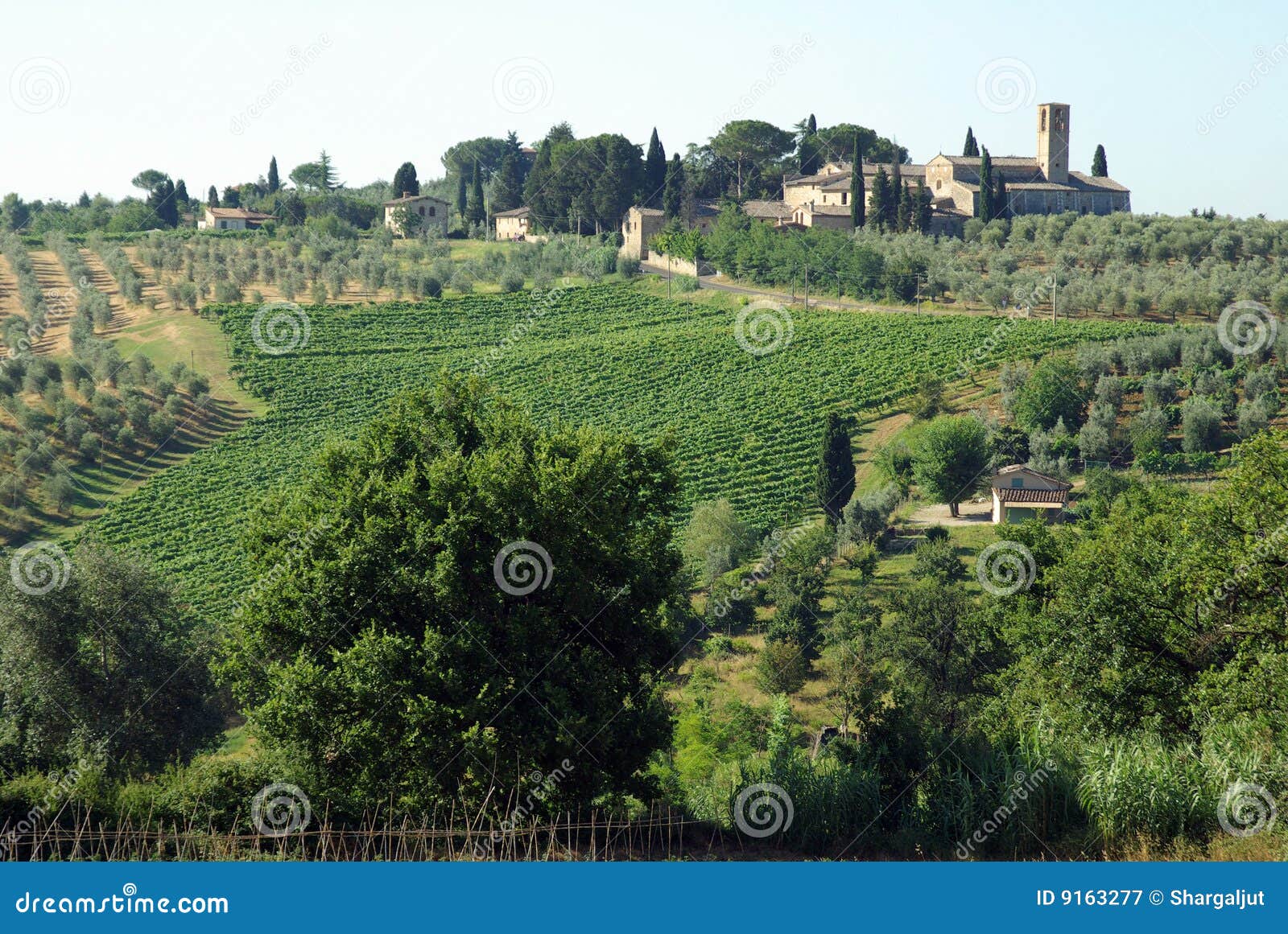 Farms in Tuscany, Italy stock image. Image of landscape - 9163277