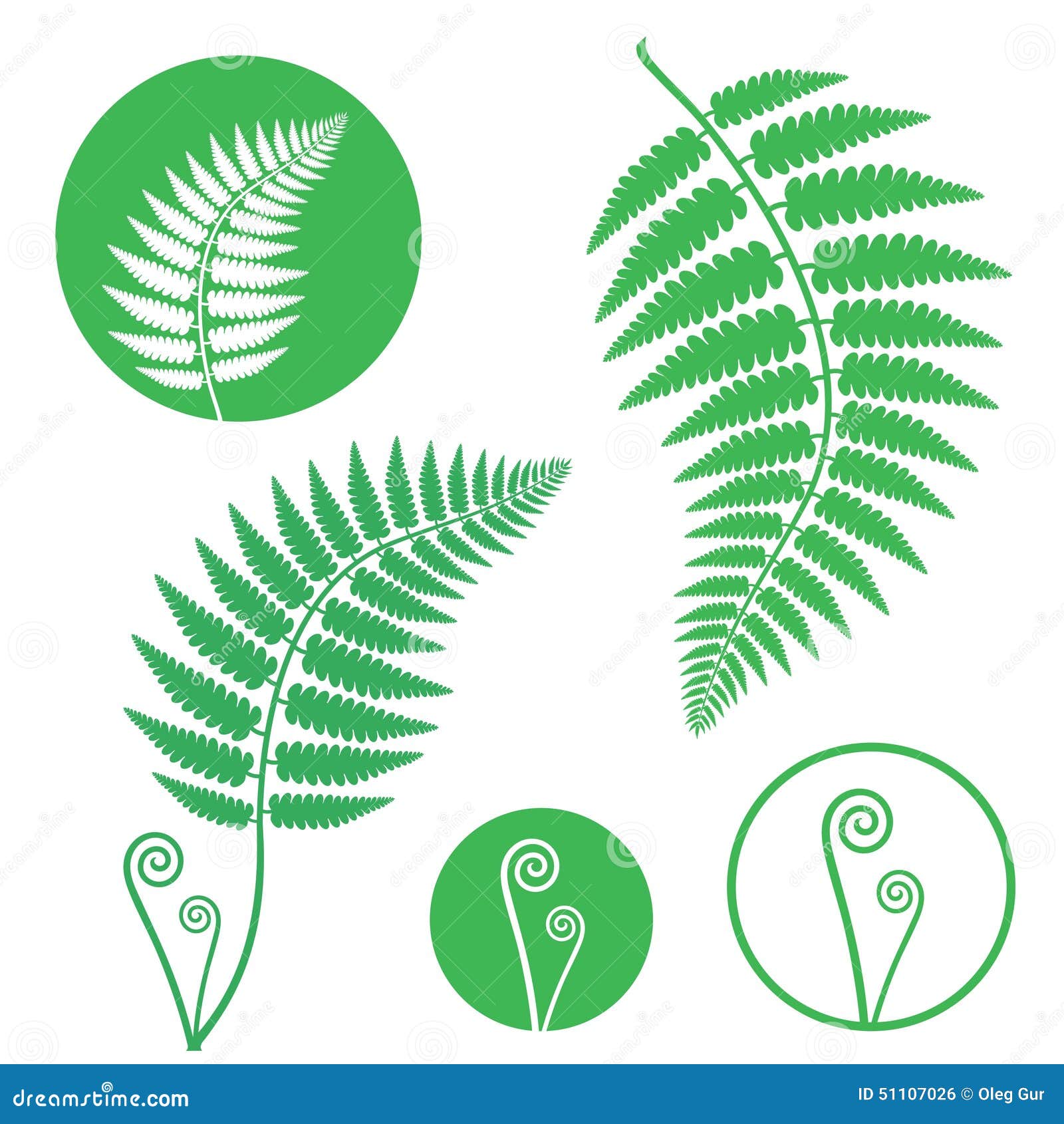 Farn vektor abbildung. Illustration von grün, seltsam - 51107026