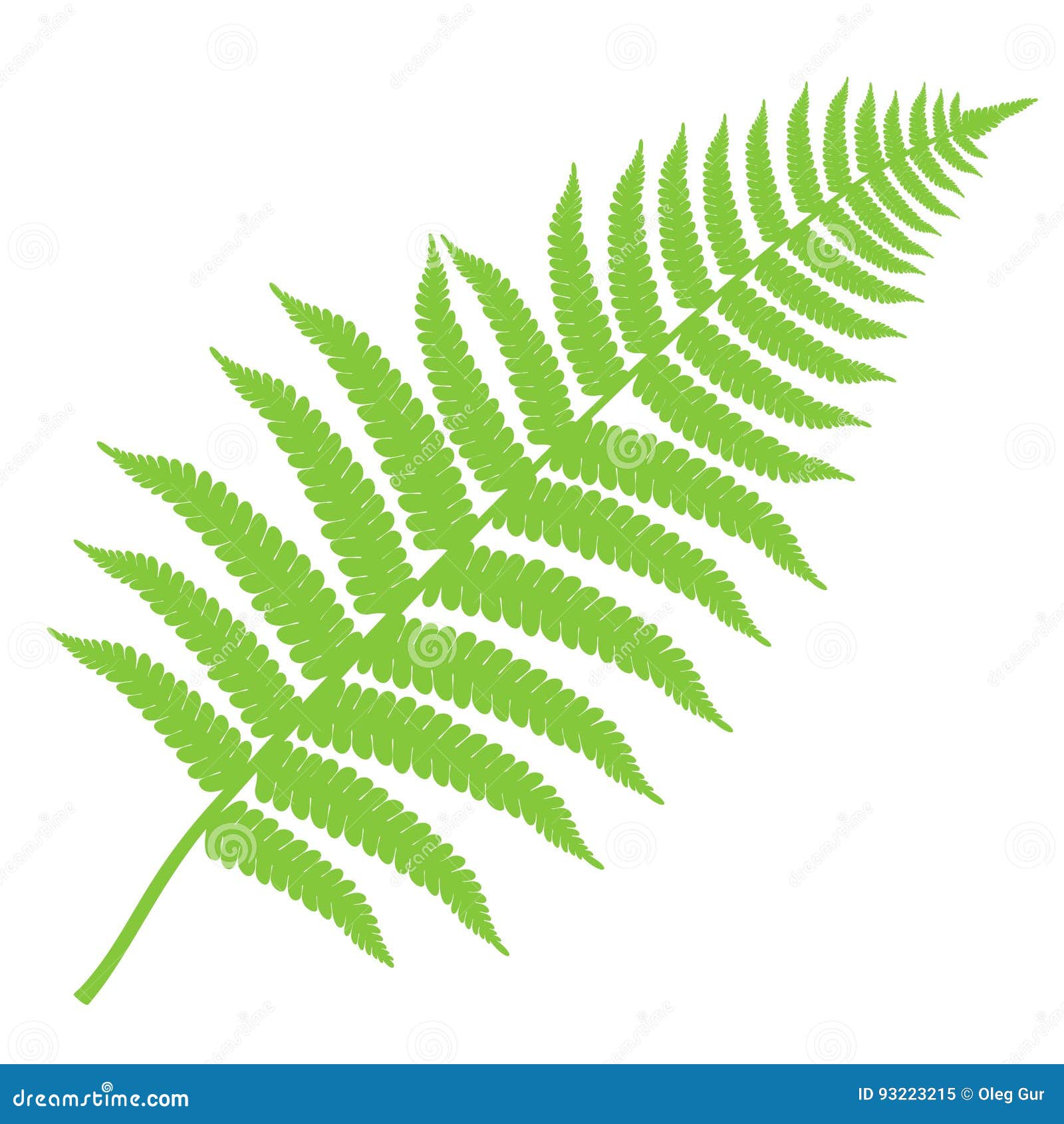 Farn Auszug vektor abbildung. Illustration von vektor - 93223215