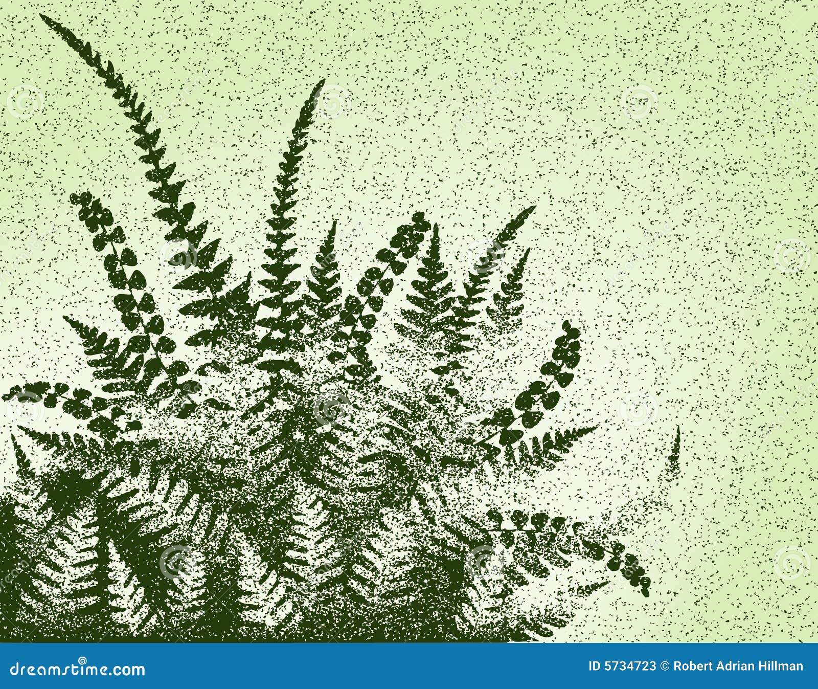 Farn grunge vektor abbildung. Illustration von dicht, rauh - 5734723