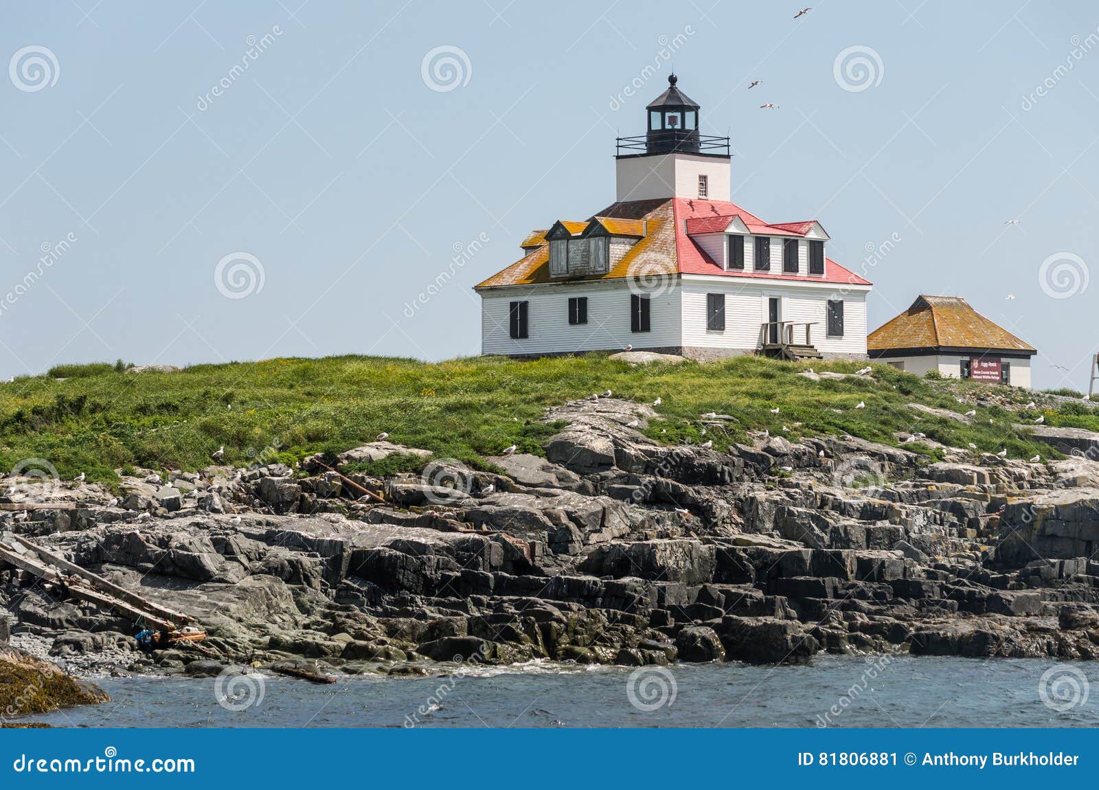 Faro de la roca del huevo imagen de archivo. Imagen de rocoso - 81806881