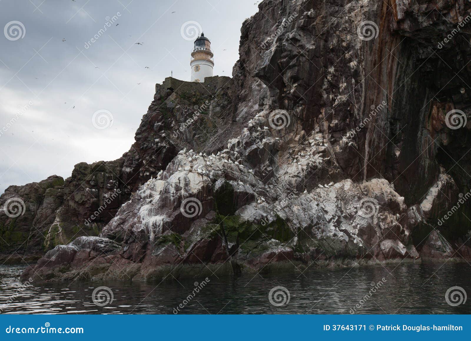 Faro en Bass Rock imagen de archivo. Imagen de faro, edimburgo - 37643171