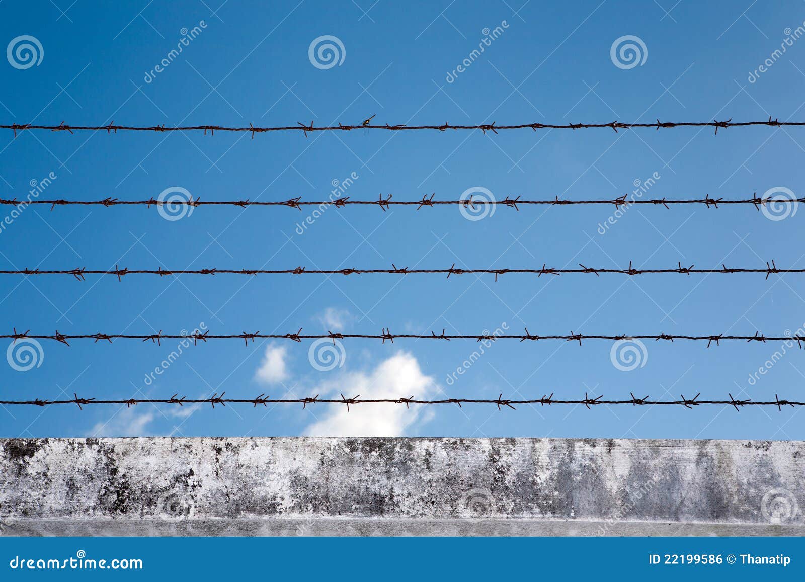 Farpa foto de stock. Imagem de alto, metal, projeto, perigoso - 22199586