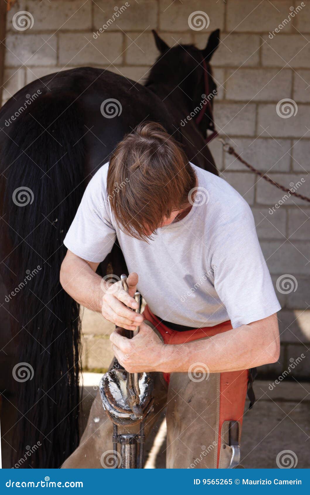 Farrier Cartoons, Illustrations & Vector Stock Images - 1578 Pictures ...