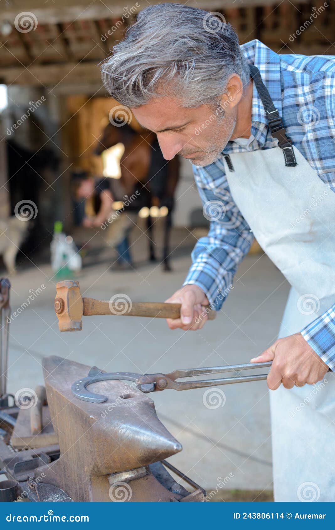 Farrier tapping hoof stock photo. Image of duty, apron - 243806114