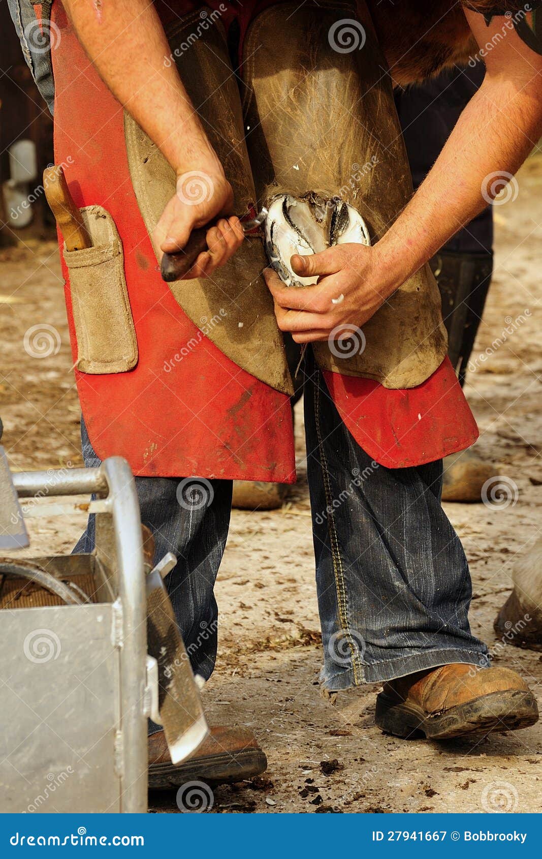 Farrier Trimming Horse Hoof With Hoof Pincer Royalty-Free Stock Photo ...