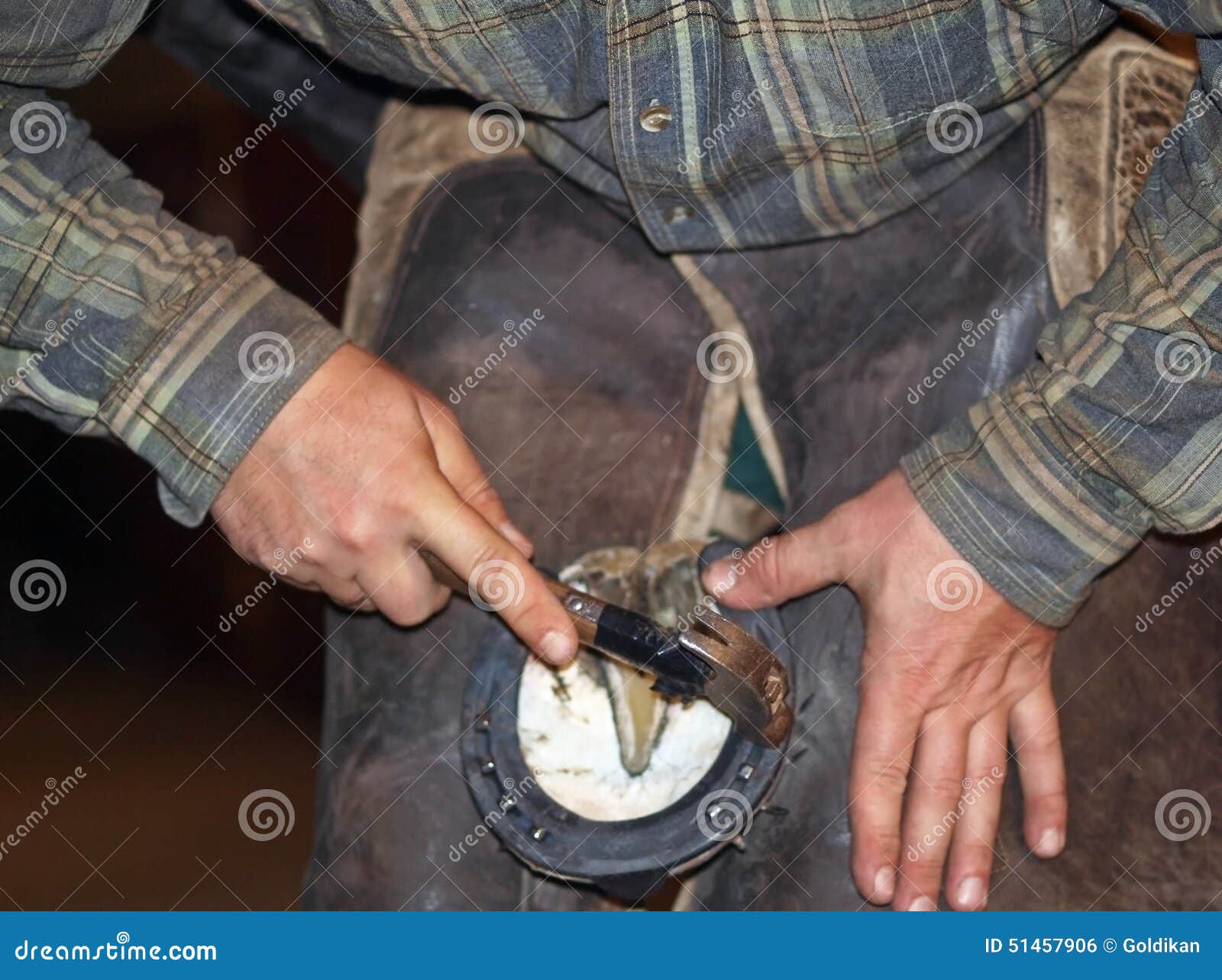 Farrier at work stock photo. Image of blacksmith, milling - 51457906
