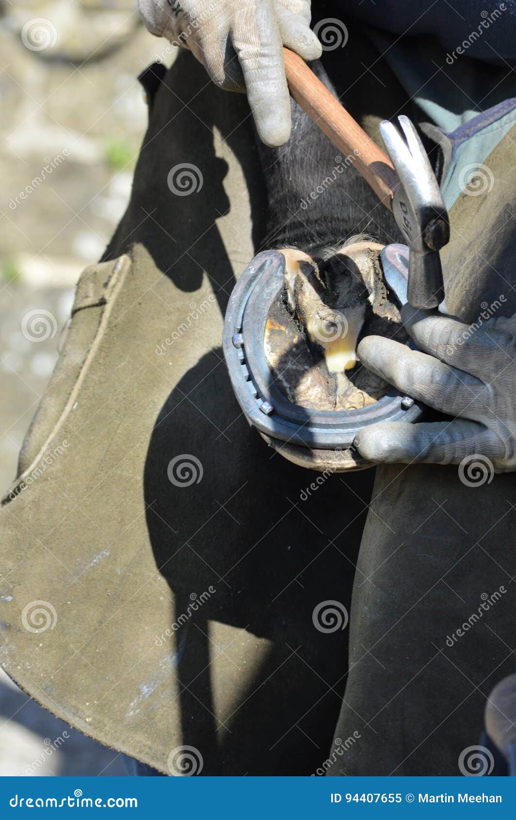 Farrier Working on a Horse. Stock Image - Image of animal, shod: 94407655