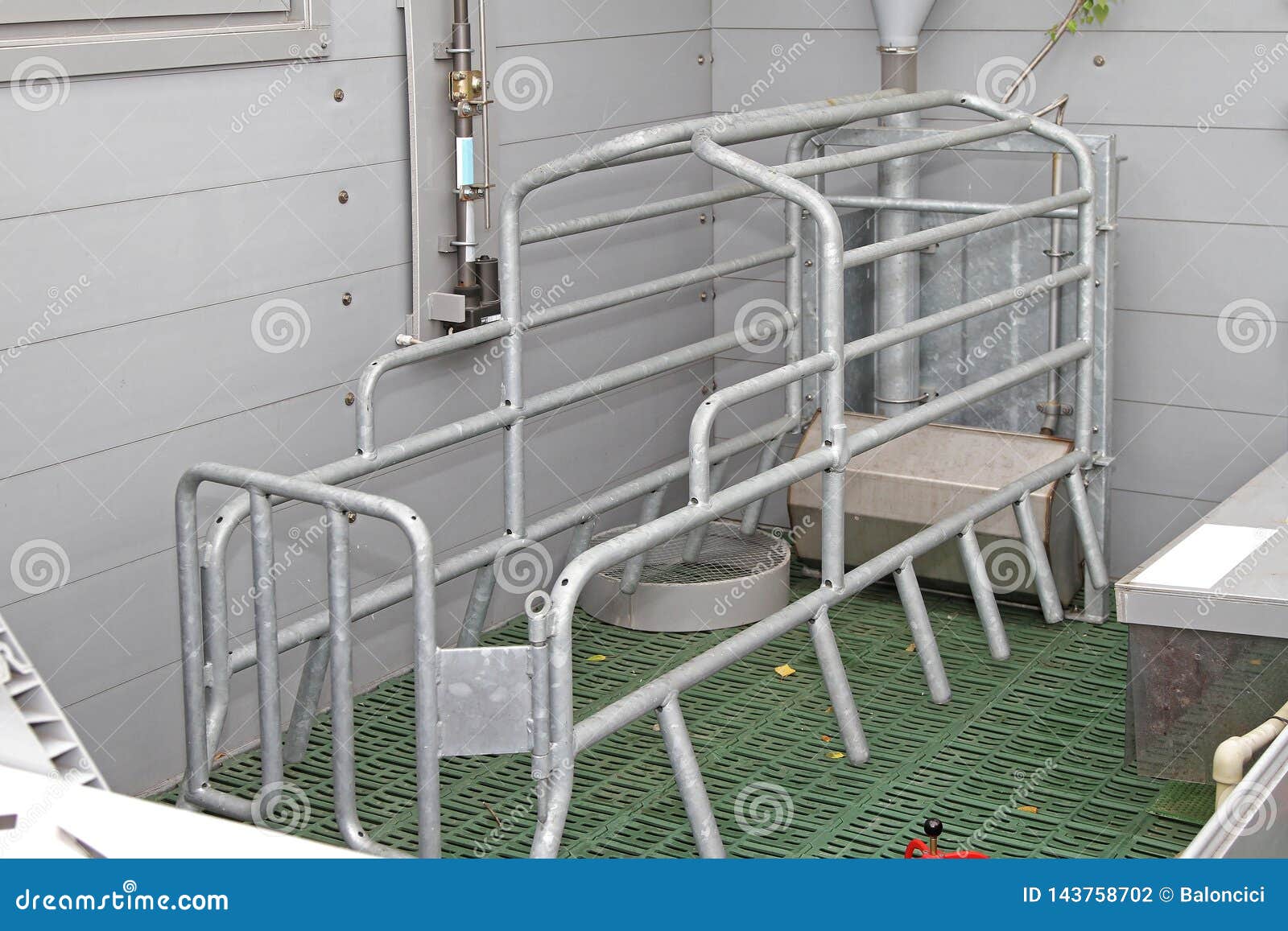 Farrowing Crate stock photo. Image of stainless, gestation - 143758702