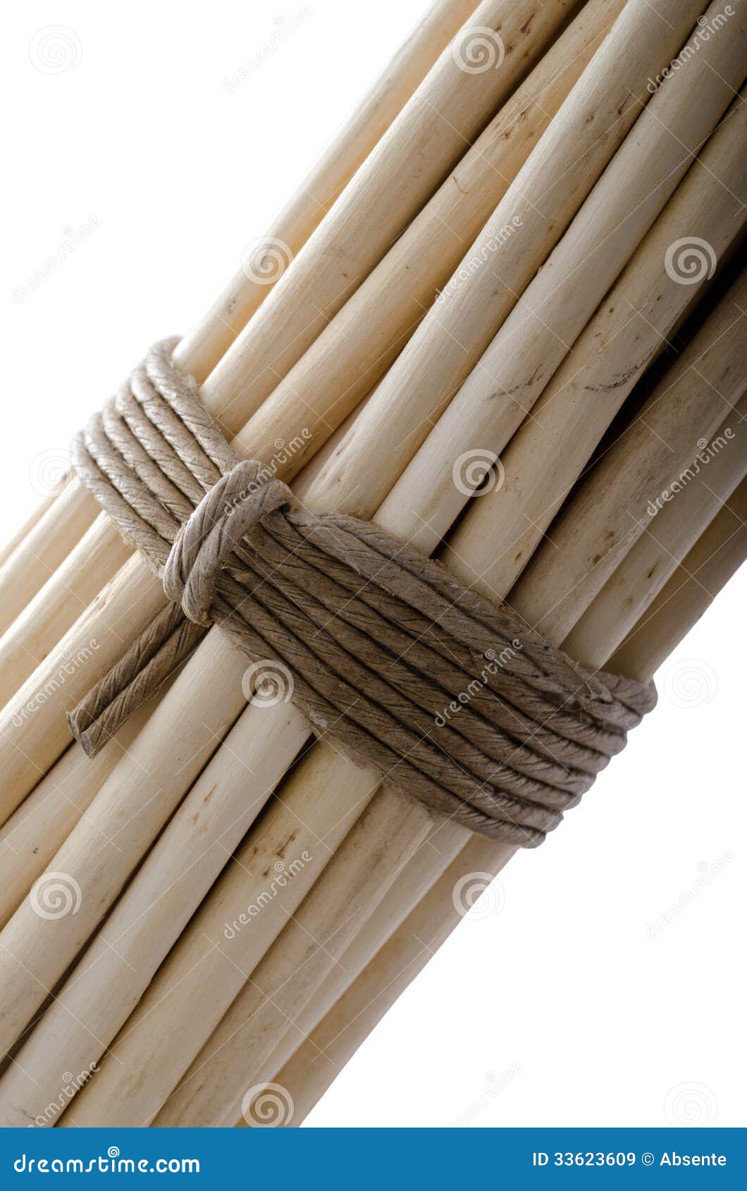 Fasces. White stock image. Image of union, tied, twigs - 33623609