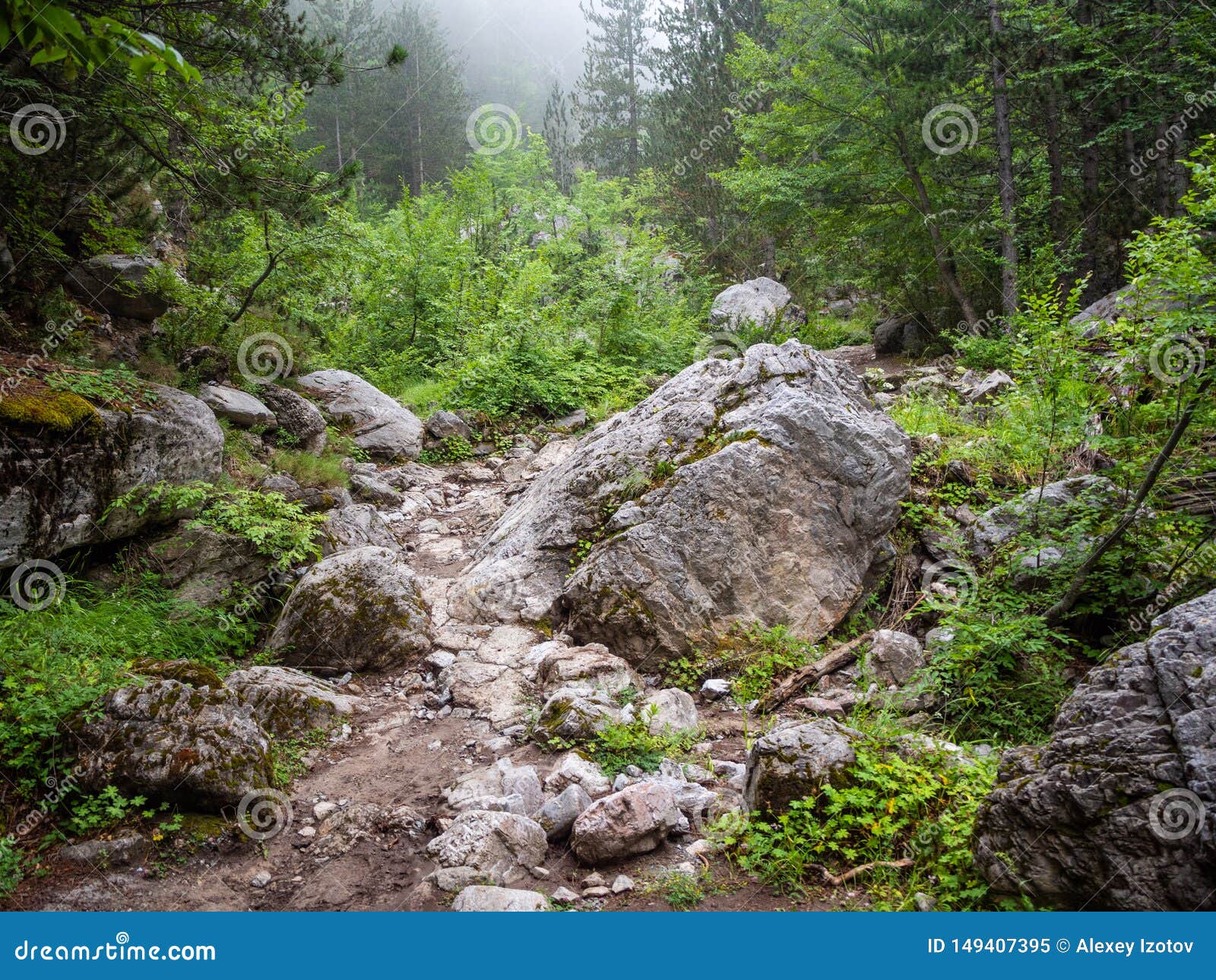 A Fascinating and Difficult Walk while Climbing Mount Olympus in Greece ...