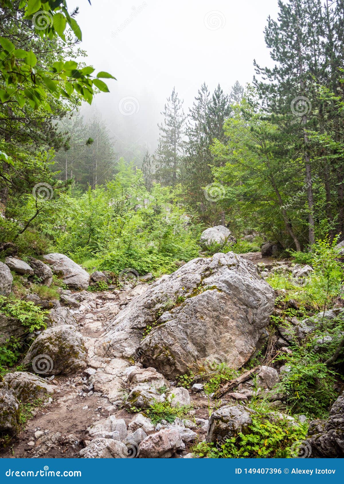A Fascinating and Difficult Walk while Climbing Mount Olympus in Greece ...