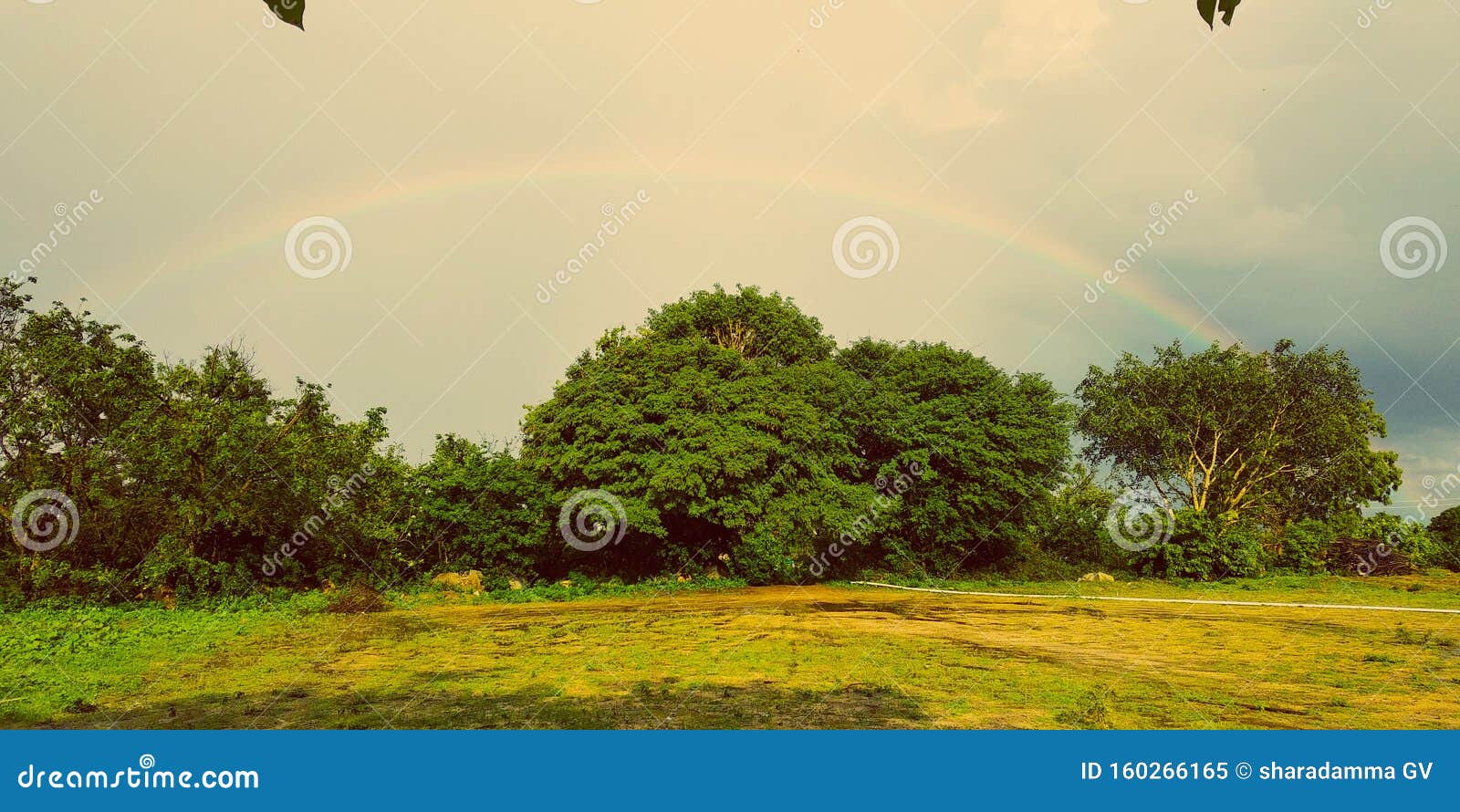 Fascinating and Eye Catching Nature Pics Stock Image - Image of nature ...